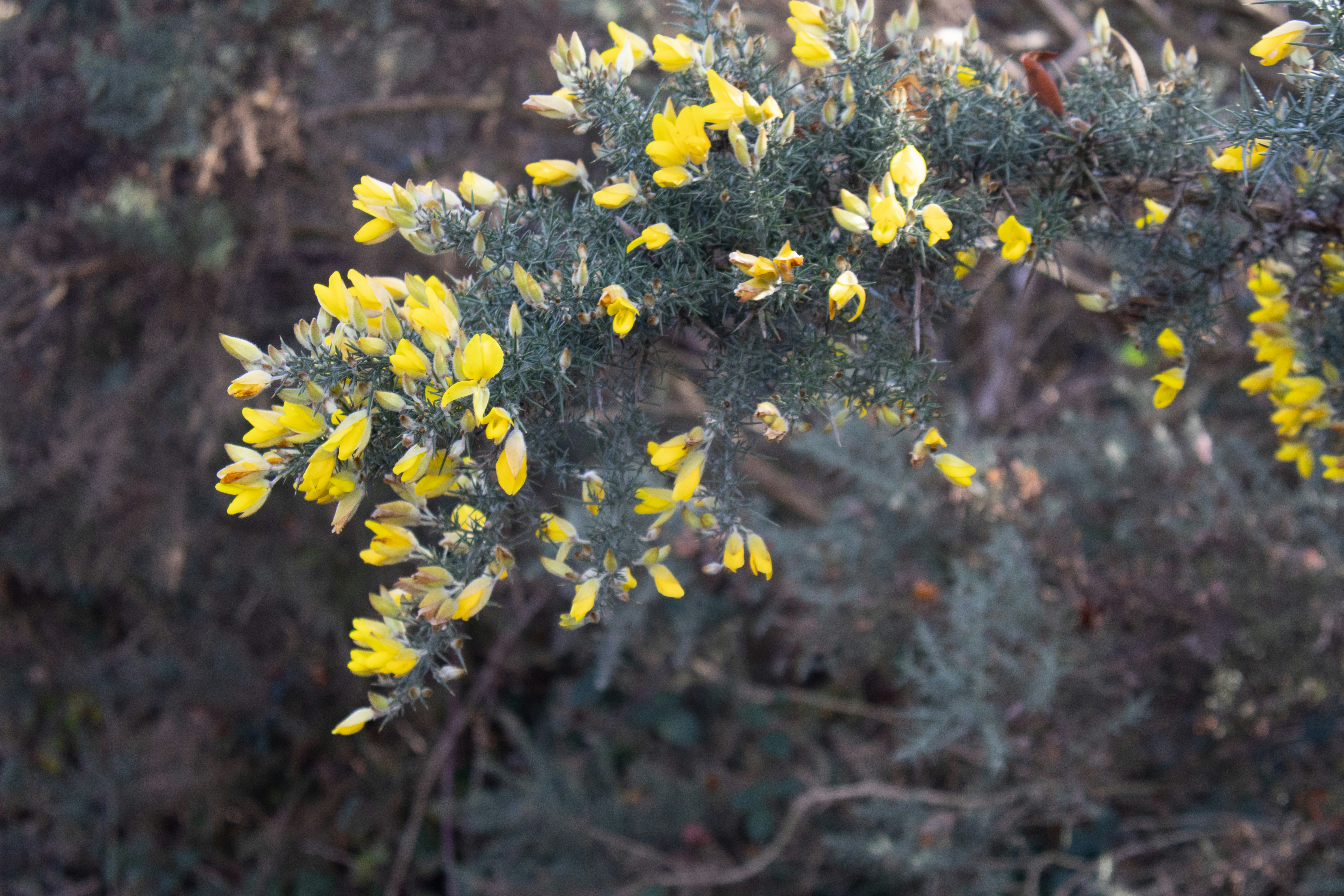 Photo by Tanya Barrow with Canon EOS R50