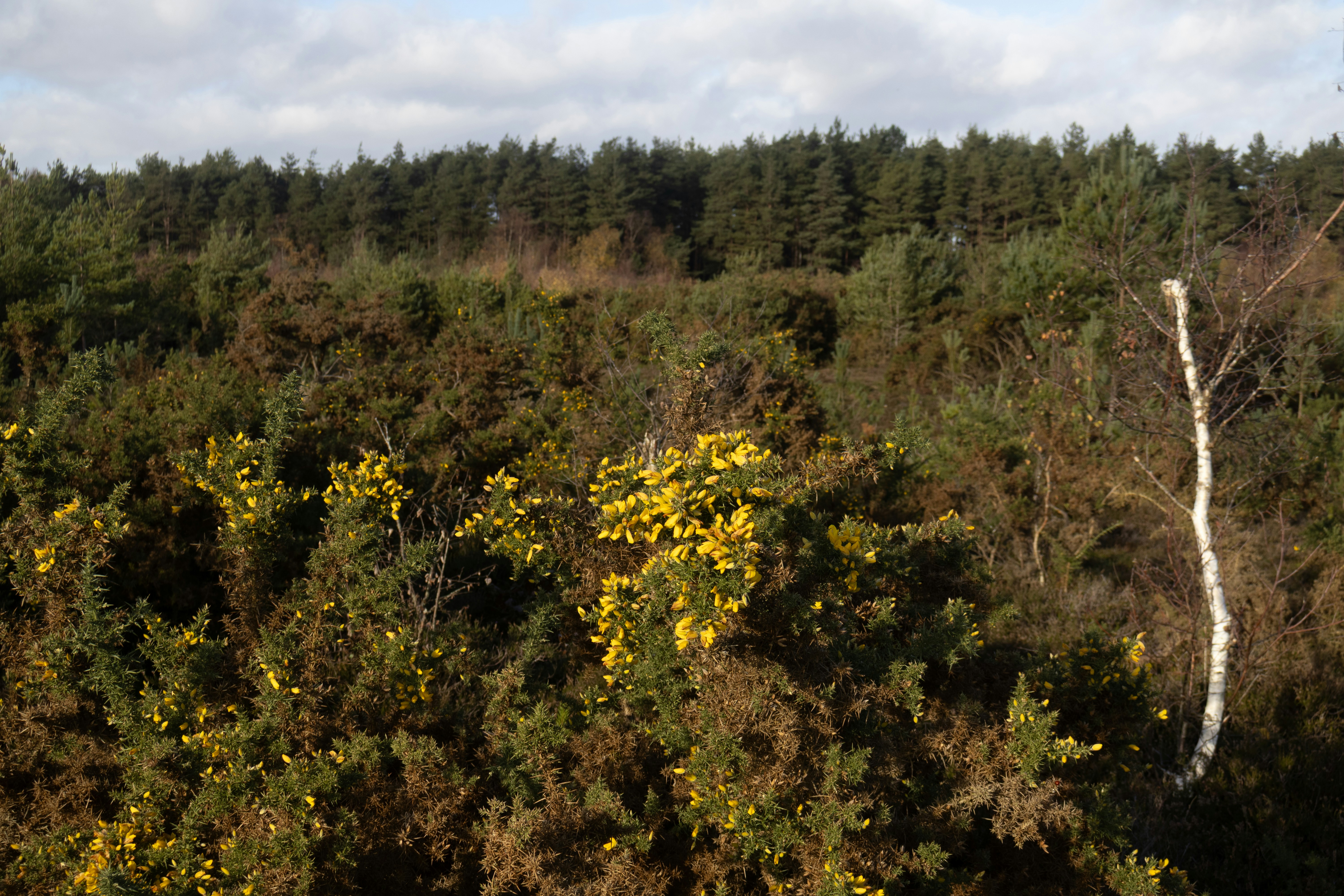 Photo by Tanya Barrow with Canon EOS R50