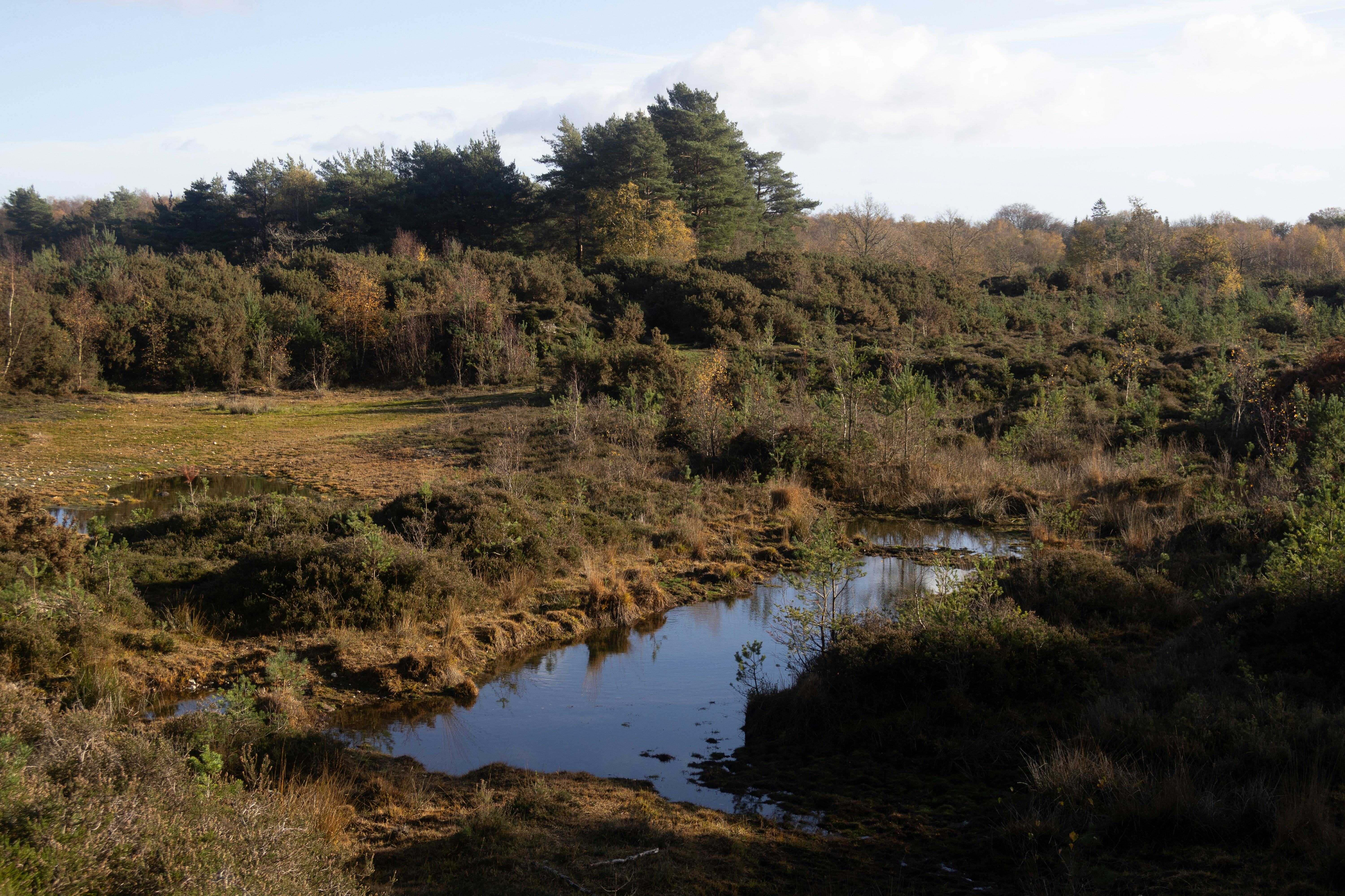 Photo by Tanya Barrow with Canon EOS R50