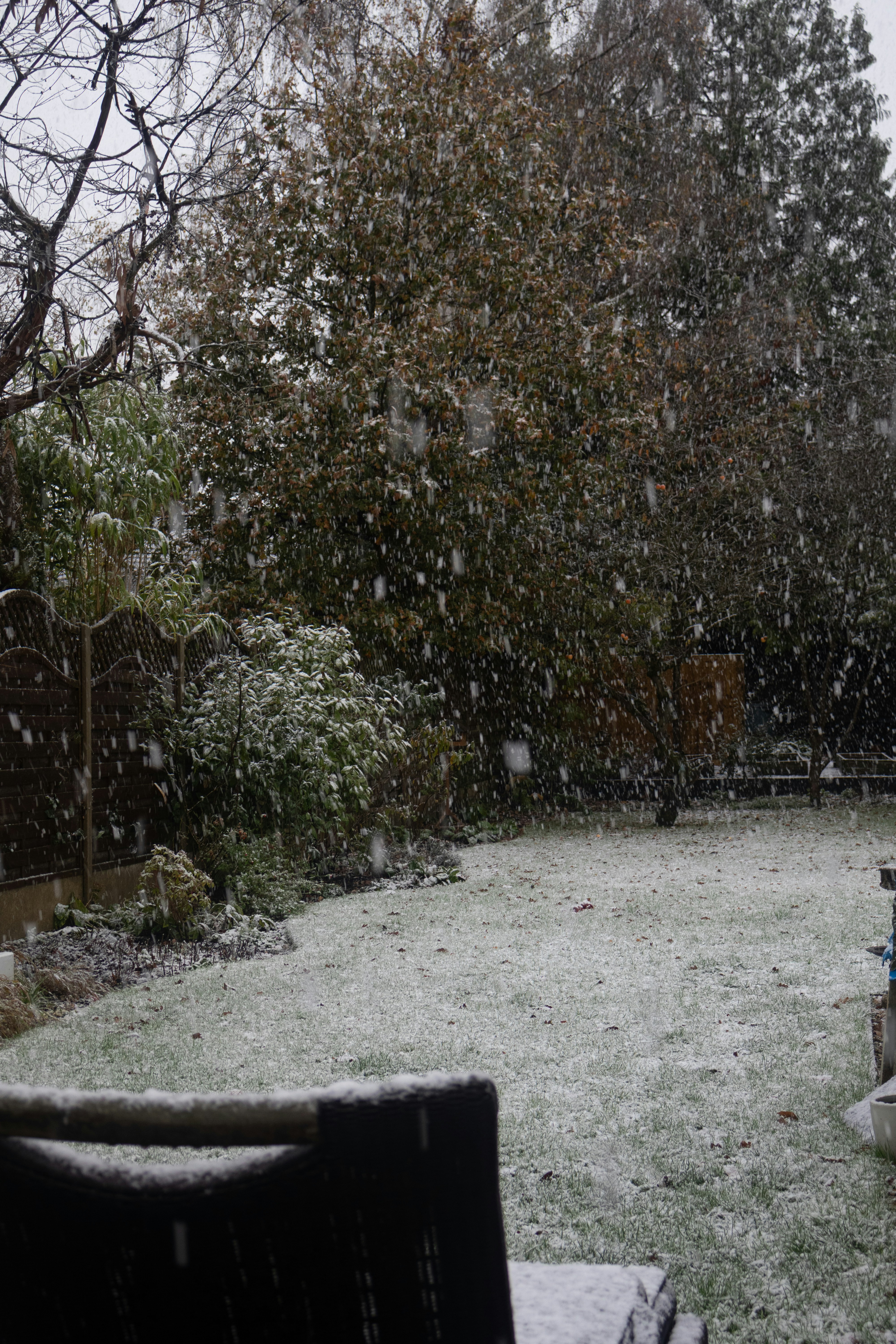 Photo by Tanya Barrow with Canon EOS R50