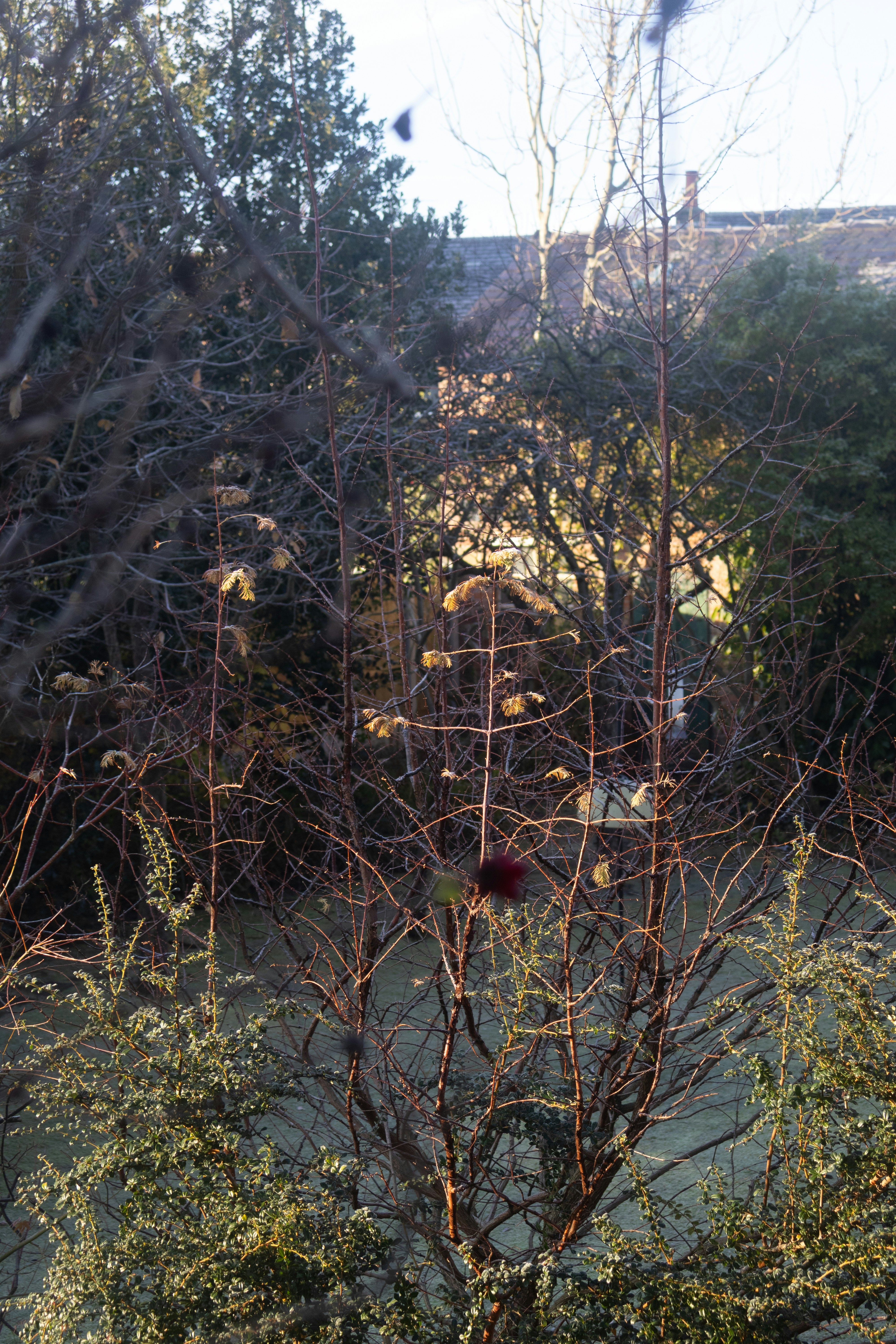 Photo by Tanya Barrow with Canon EOS R50