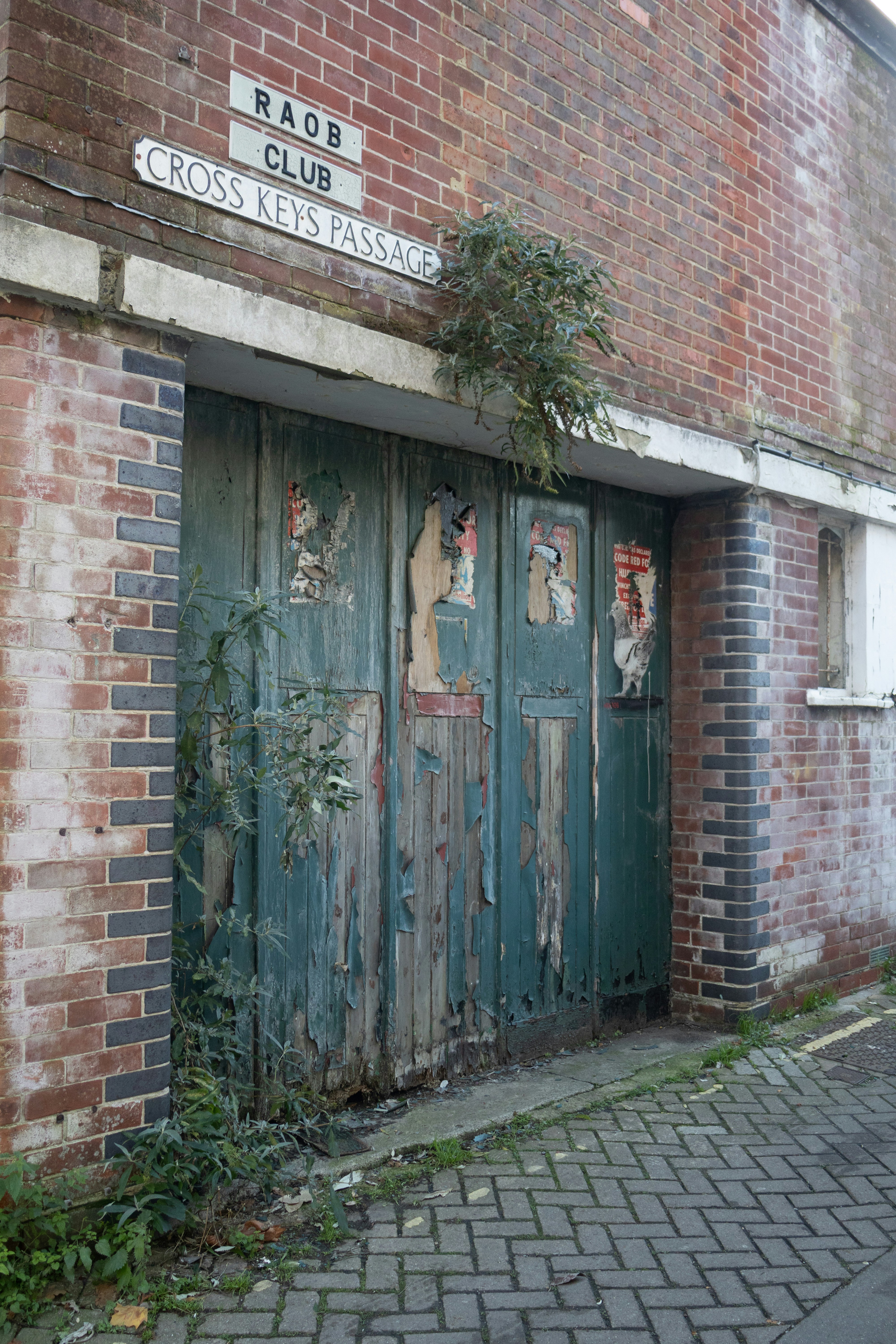 Photo by Tanya Barrow with Canon EOS R50