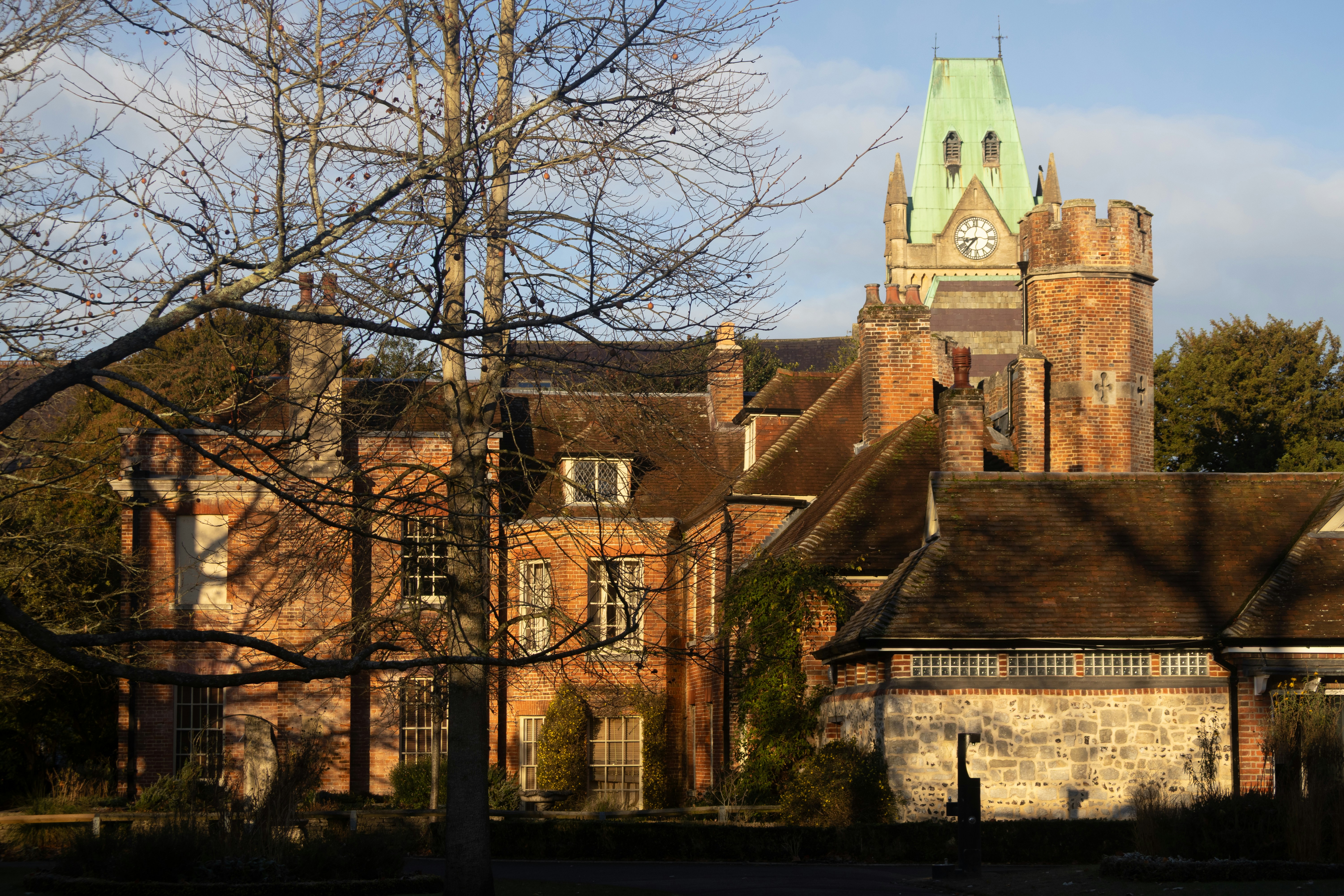 Photo by Tanya Barrow with Canon EOS R50