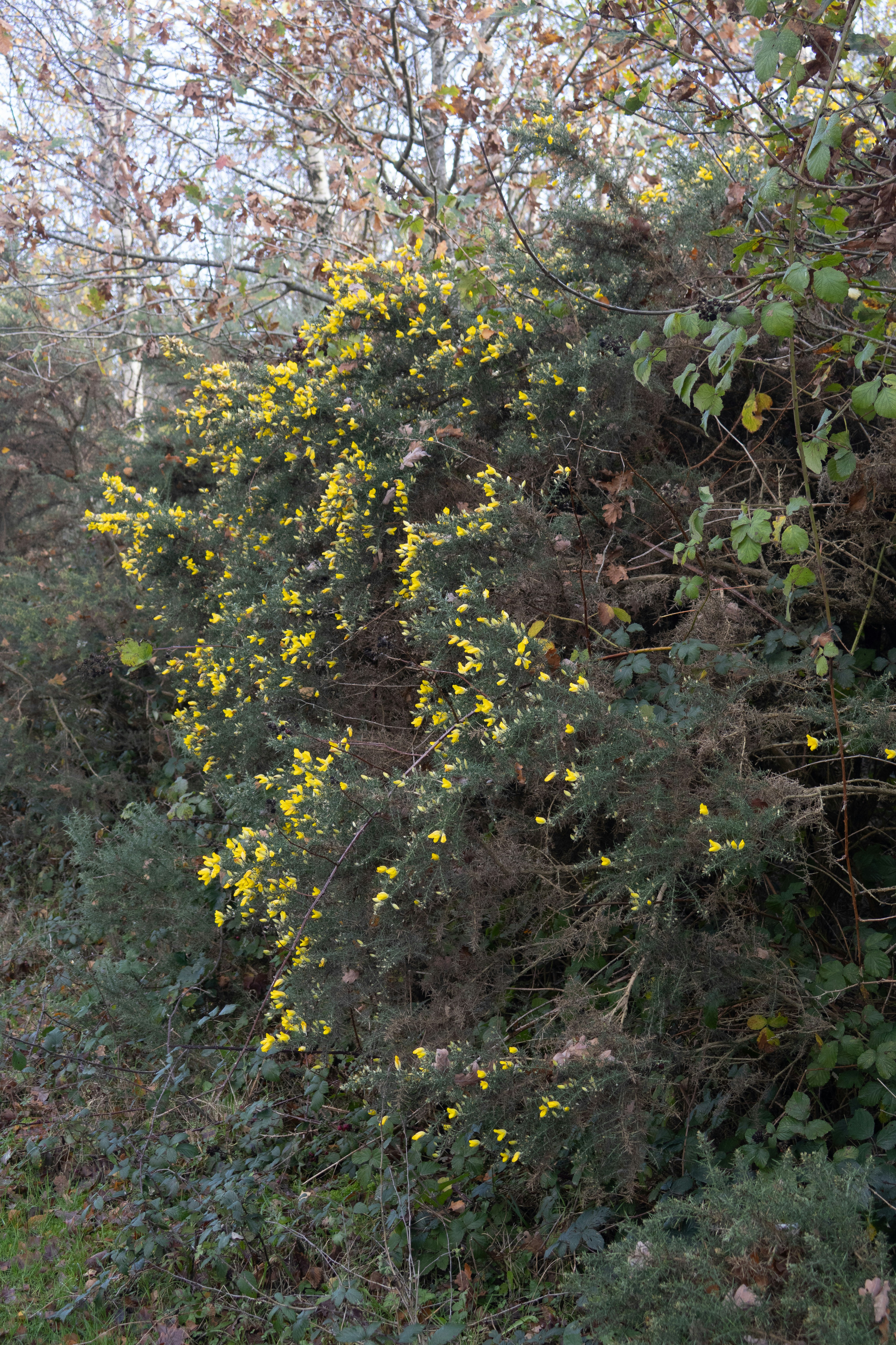 Photo by Tanya Barrow with Canon EOS R50