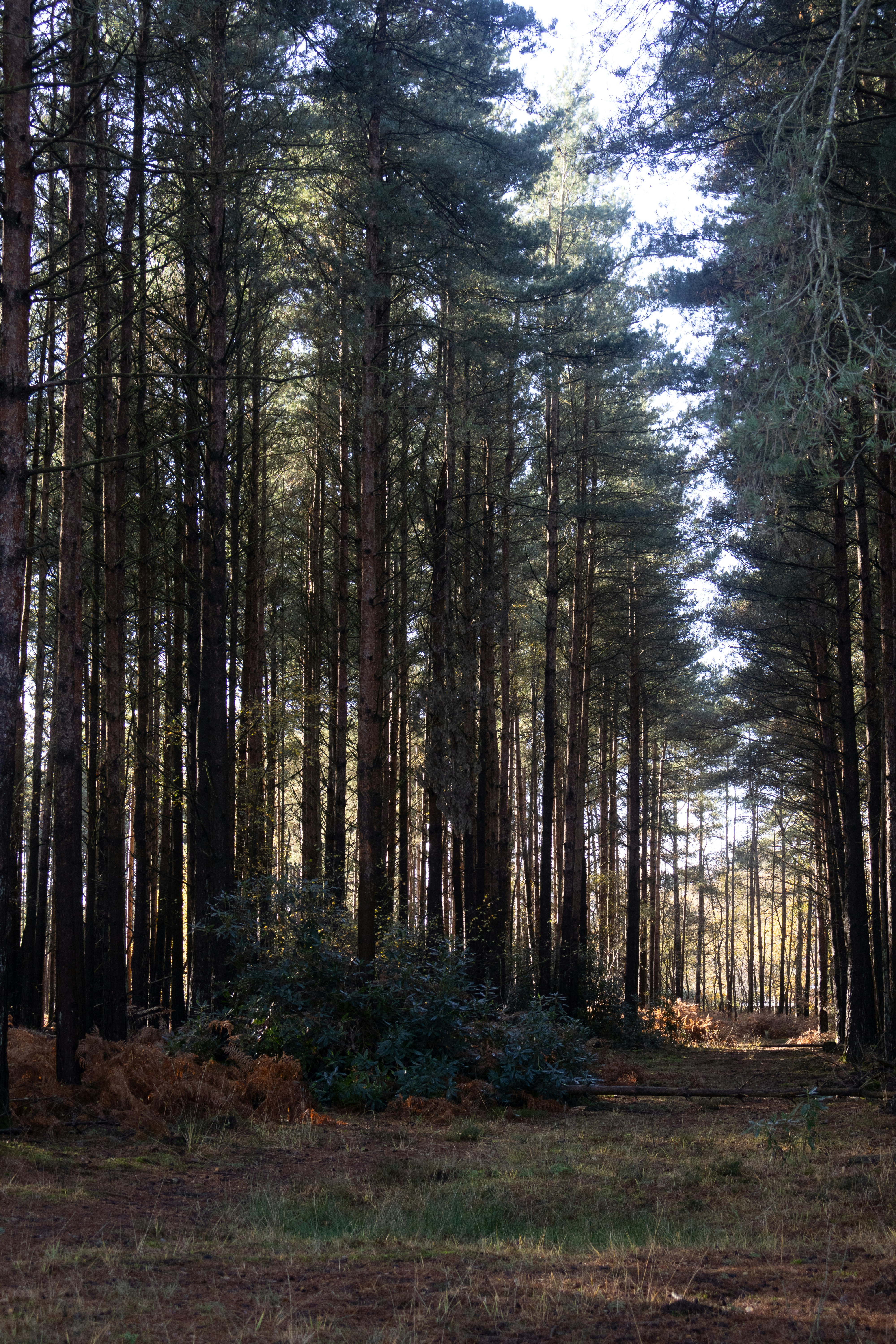 Photo by Tanya Barrow with Canon EOS R50