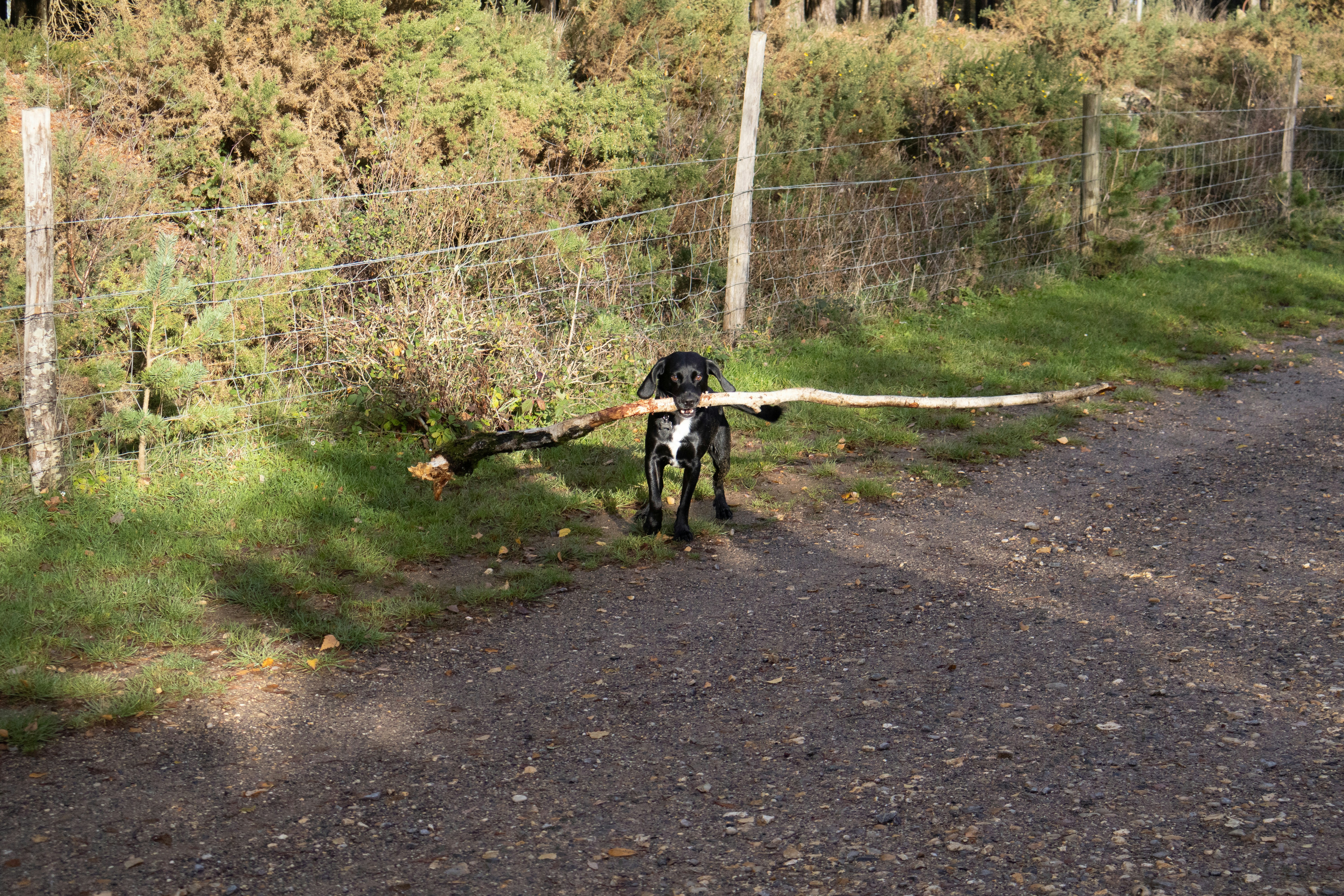 Photo by Tanya Barrow with Canon EOS R50