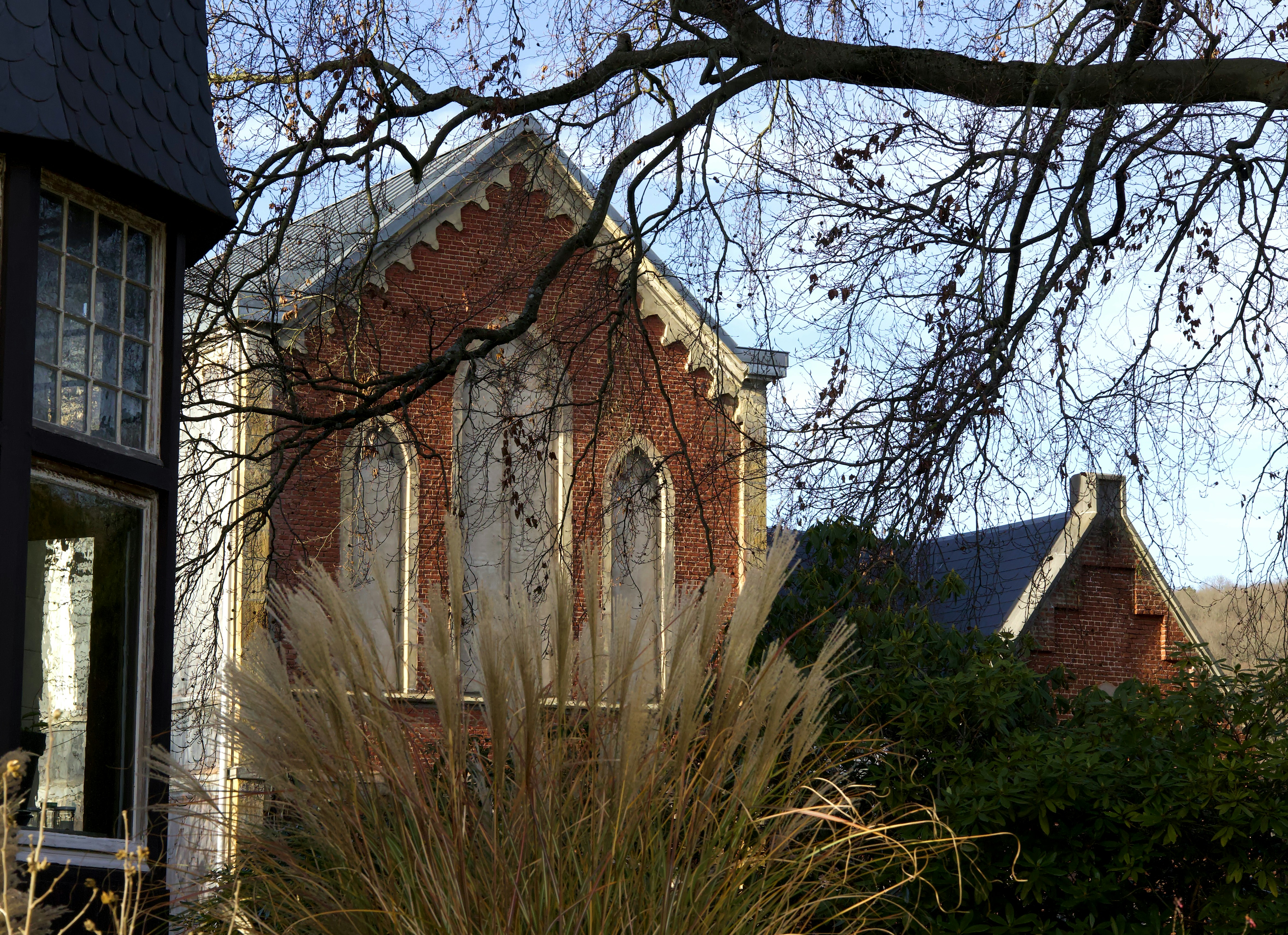 Photo by Jean Woloszczyk with Canon EOS R6