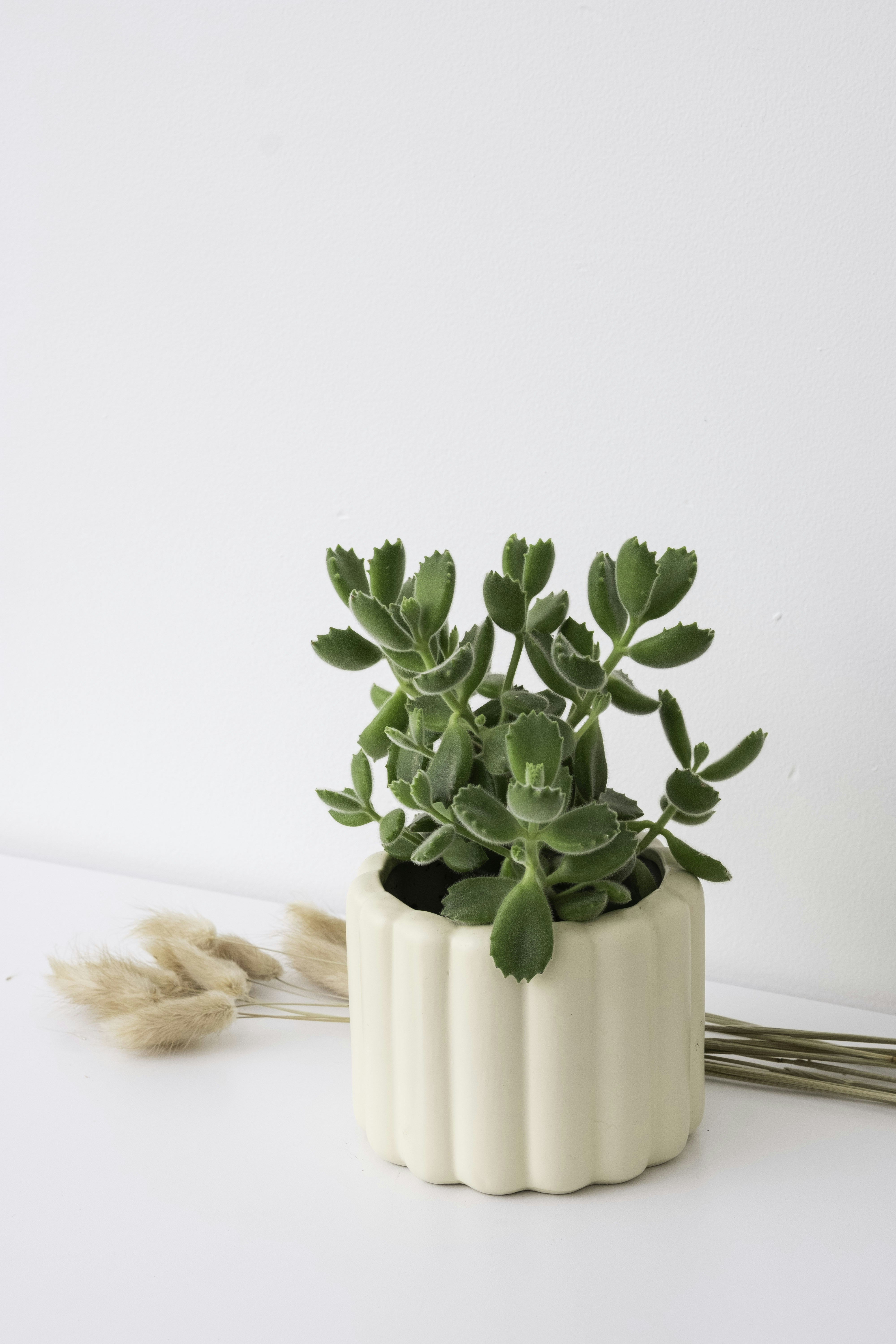 Photo by Anna Manson with Fujifilm X-T2