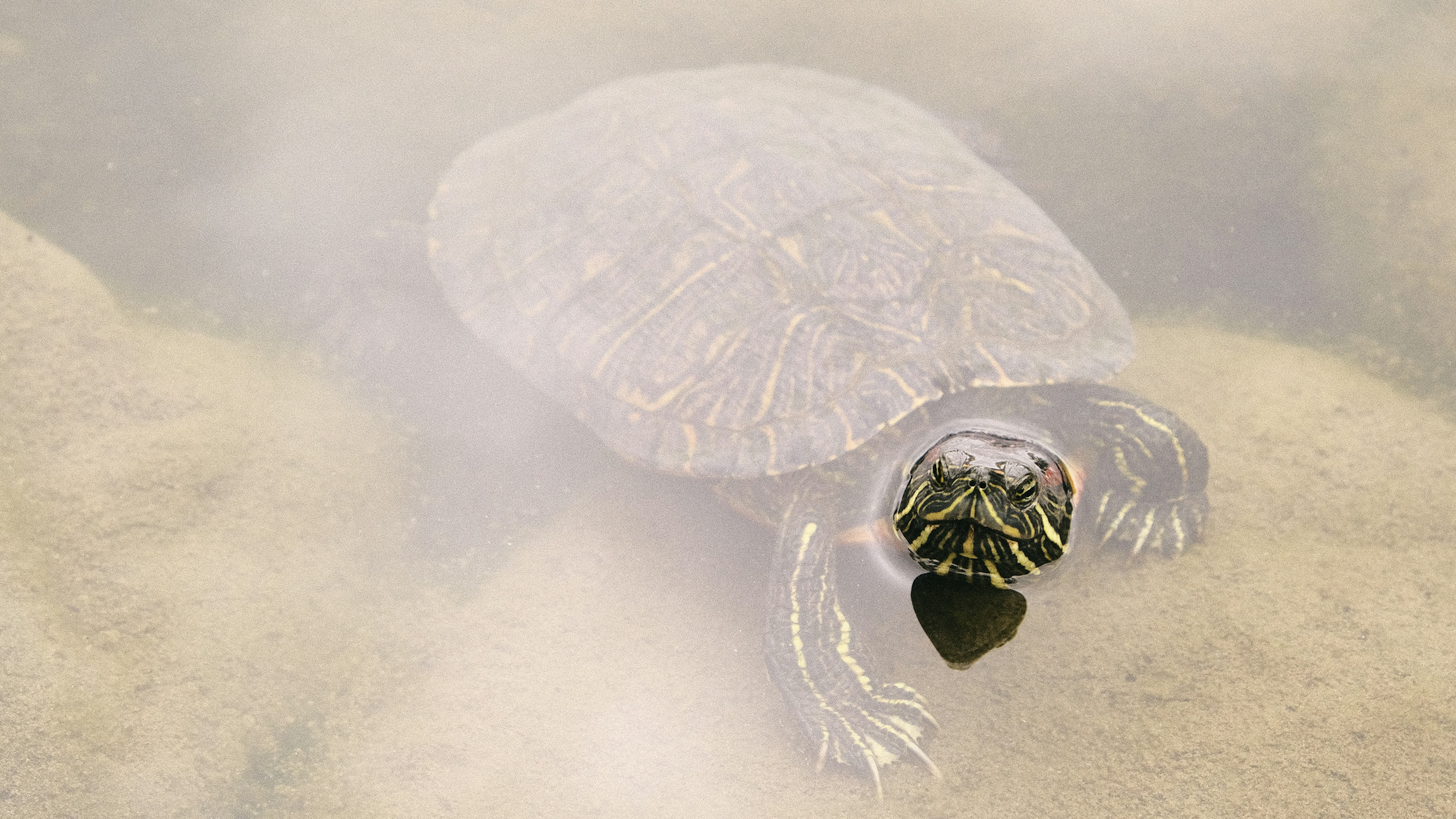 Photo by Nino Hille with Fujifilm X-T3