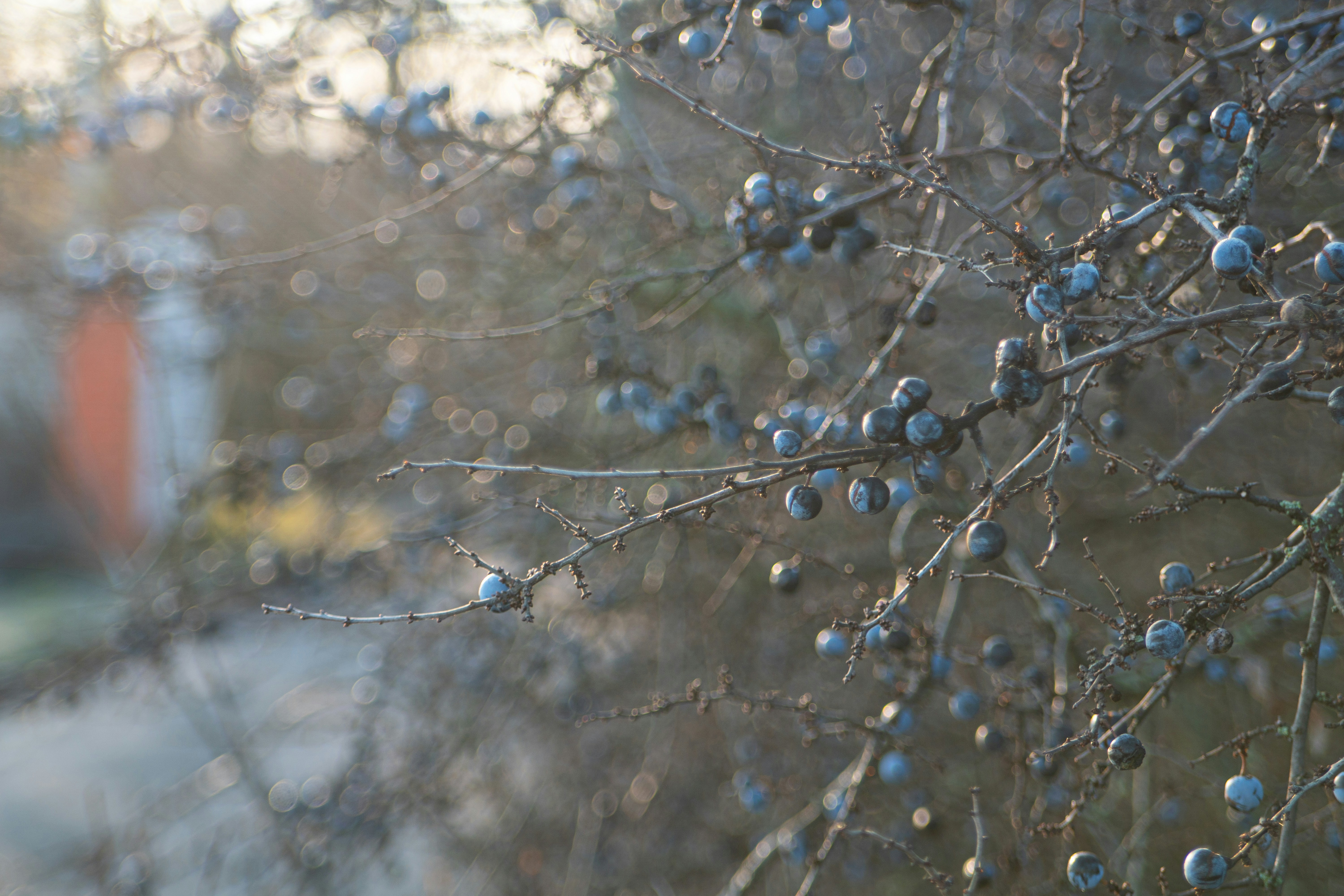 Photo by maks_d with Sony Alpha 77 II