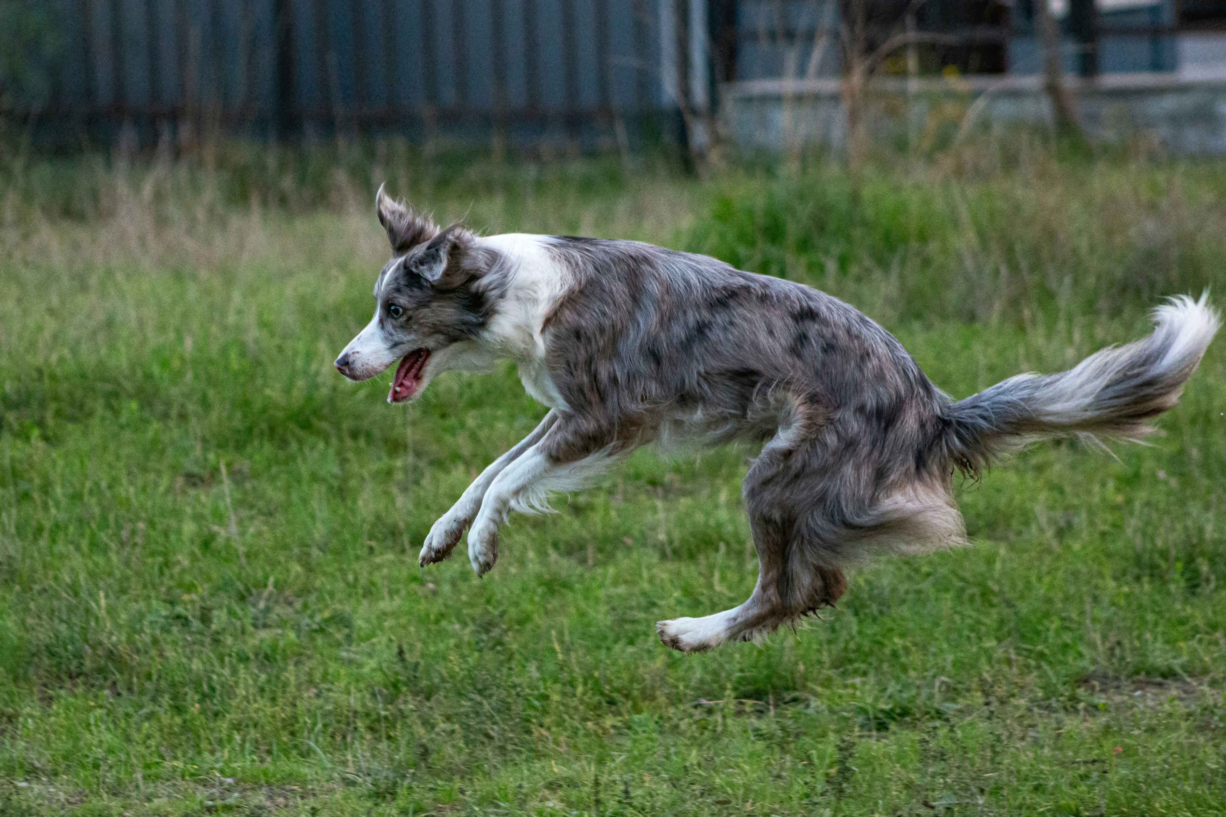 Photo by Stepan Konev with Canon EOS 70D