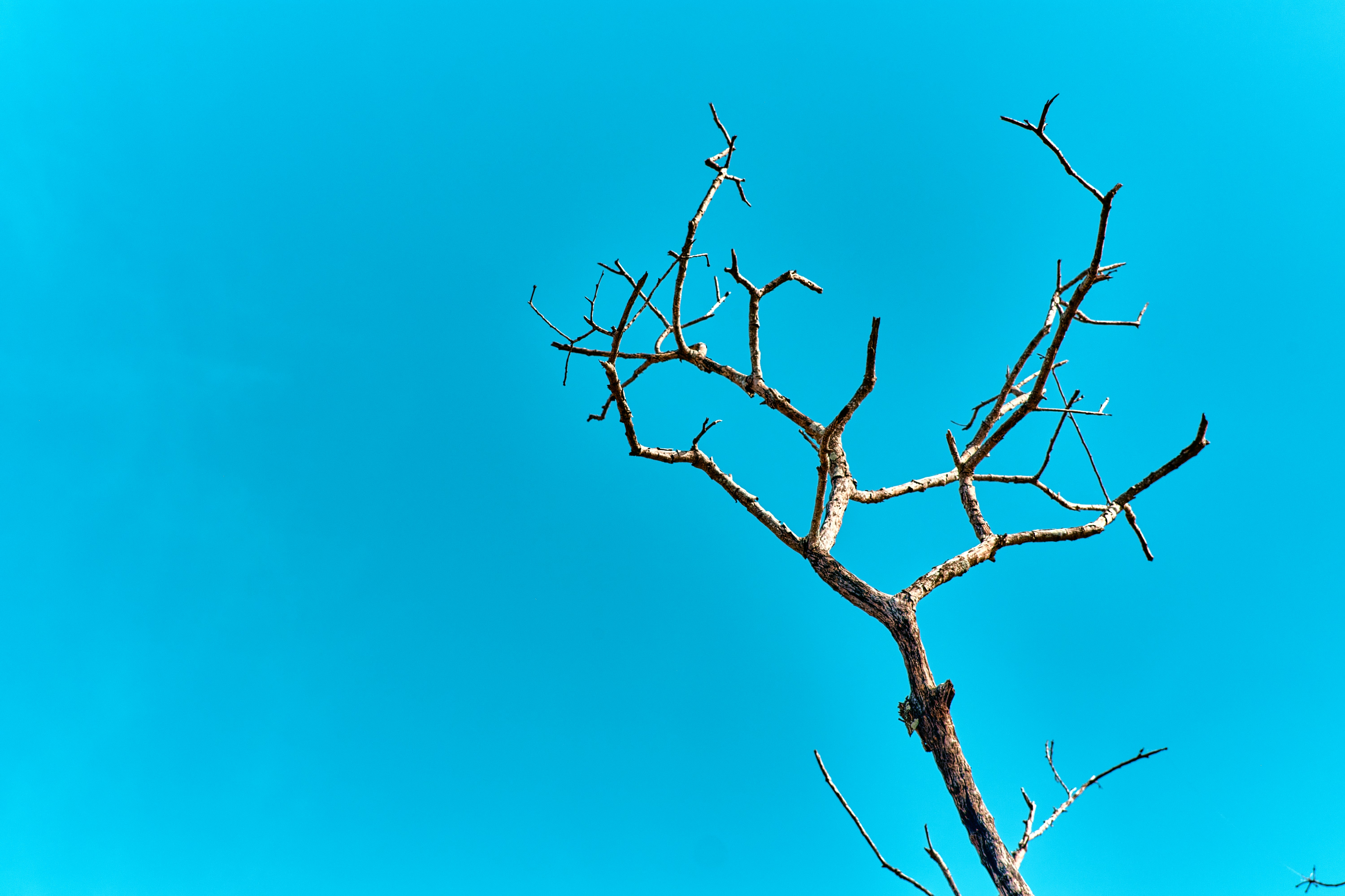 Photo by Fred Padagas with Fujifilm X-T20