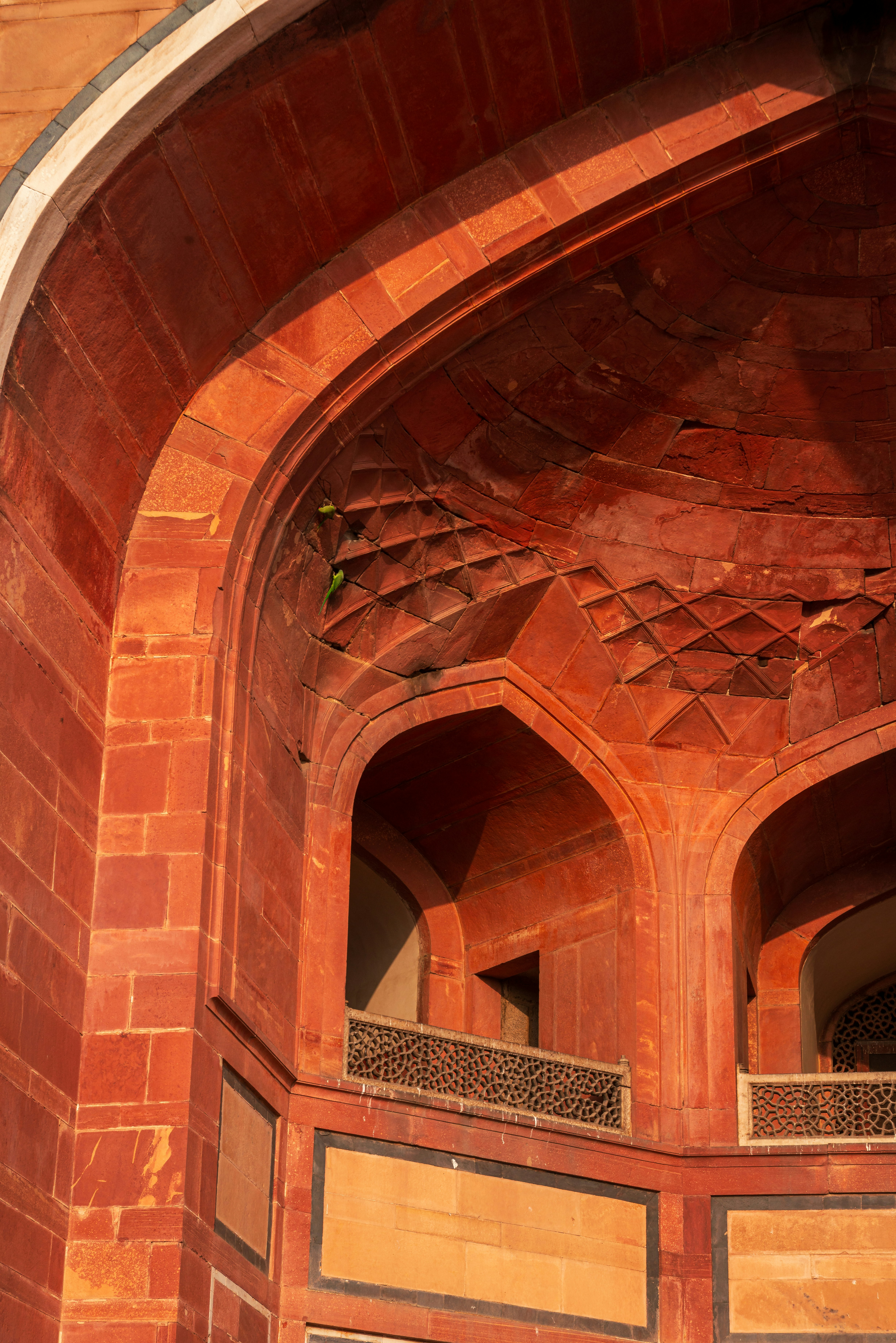 A detailed close-up focuses on the archway of Humayun's Tomb. The image is dominated by the texture of red sandstone, with a large arched entrance framing two smaller, superimposed arches. The deeply recessed ceiling is adorned with geometric, honeycomb-like carvings (muqarnas or vaulting), showing signs of age and weathering. A tiny detail of two green parrots is visible on the upper arch. The warm, late-day light enhances the texture and deep color of the stone, making it ideal for content on Mughal architecture and stone carving.