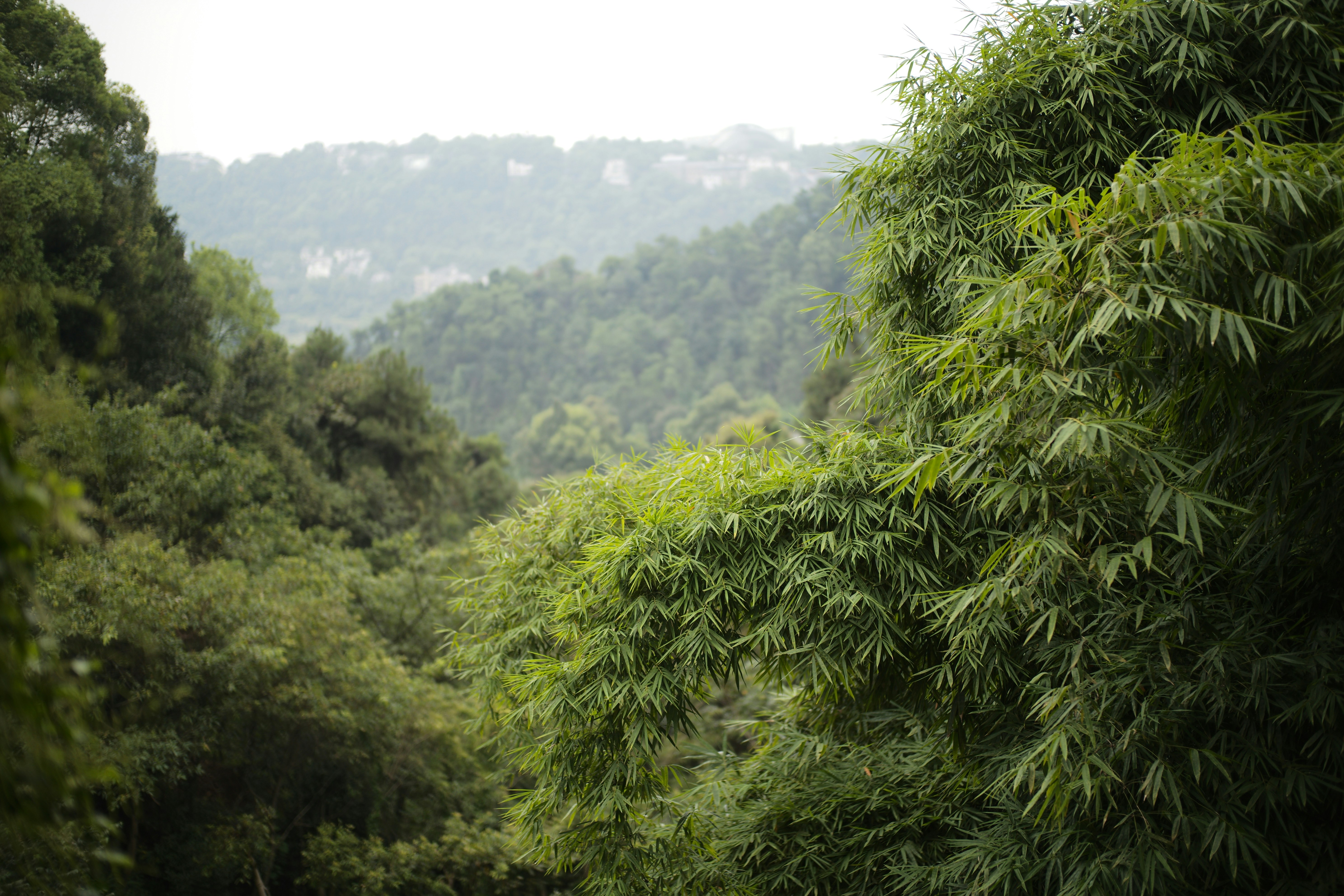 Photo by Fenghua with Leica M10-P