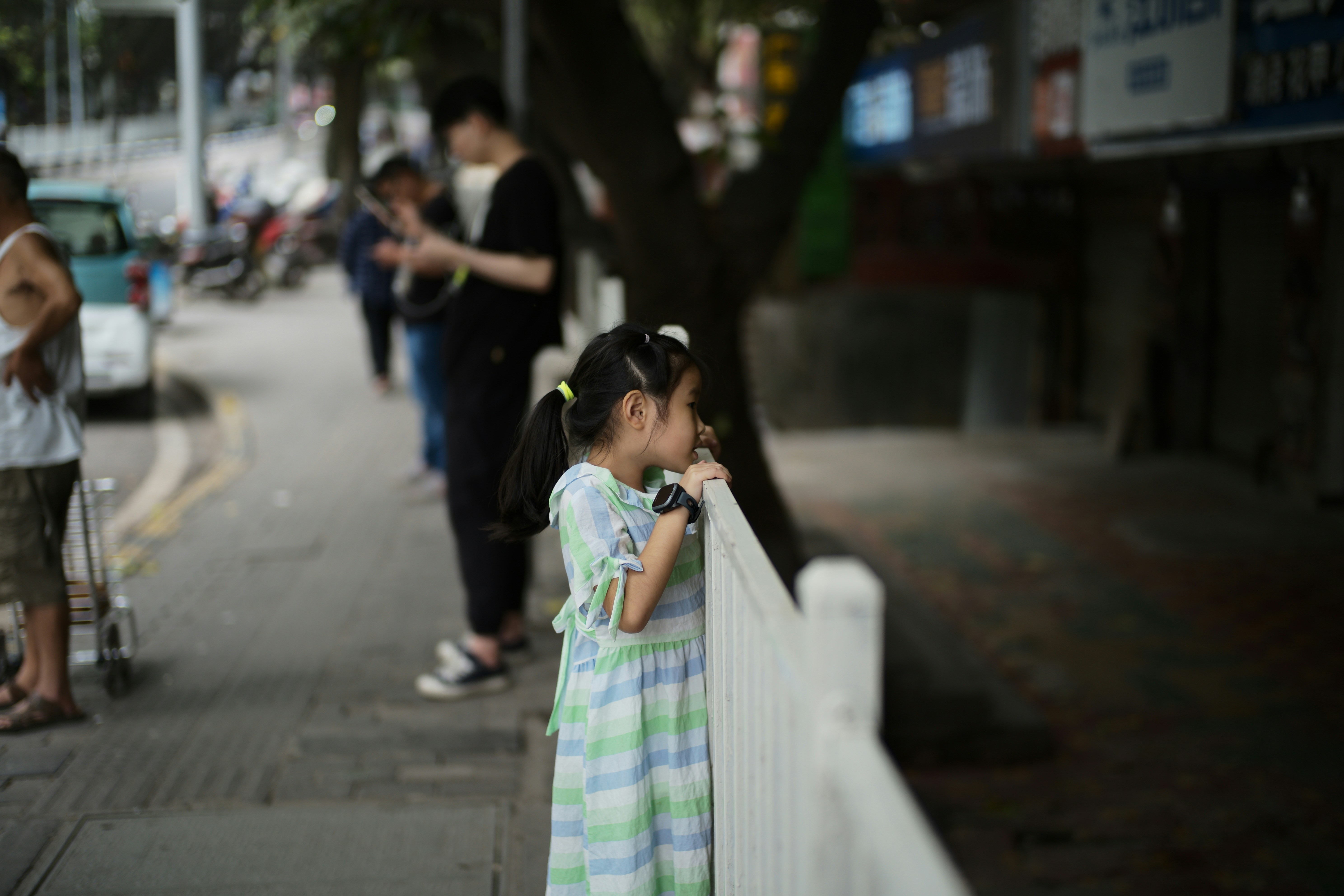 Fence-Side Gaze: A Quiet Moment with a City Street