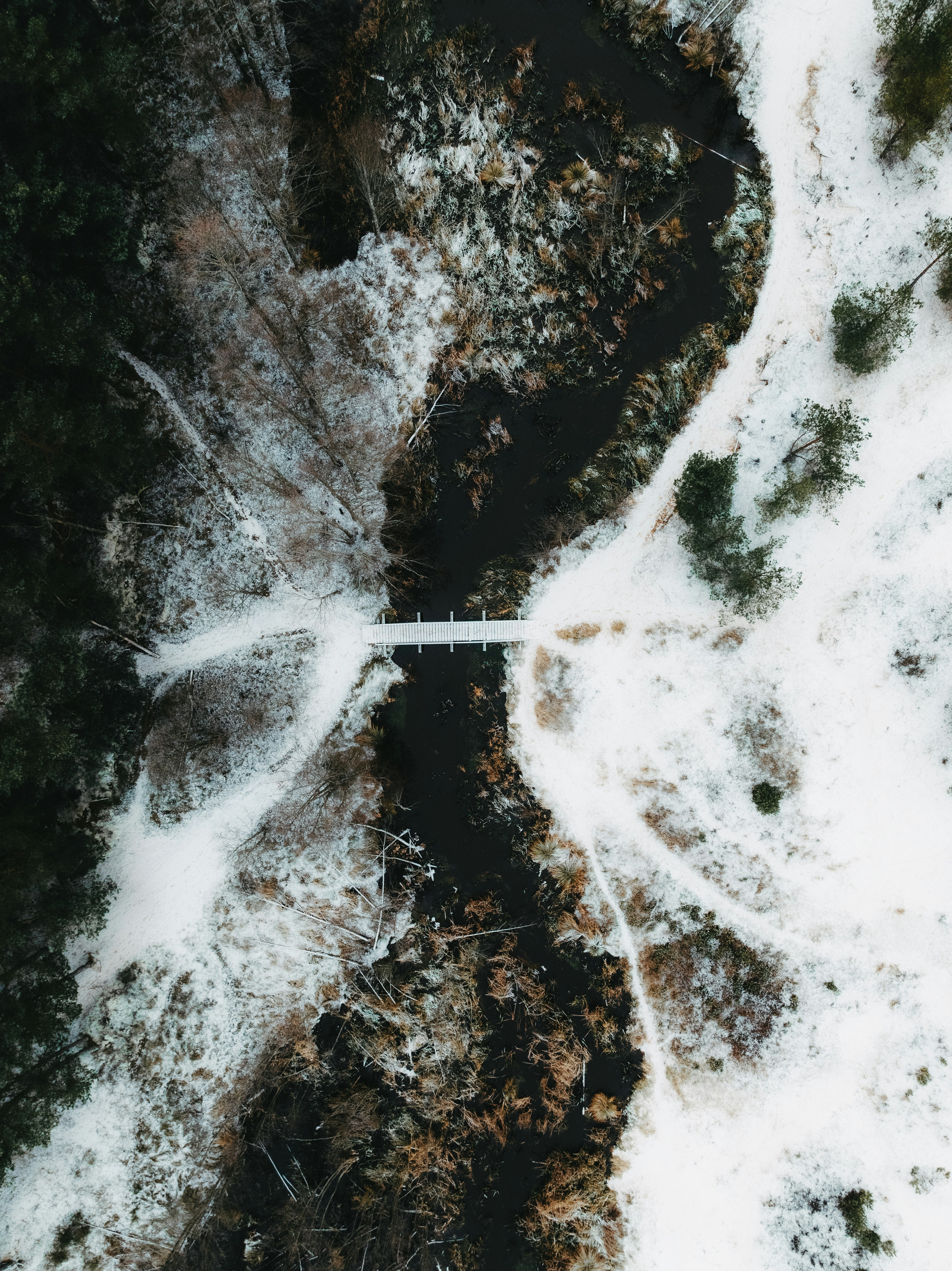 Reload Button | Teen Ink