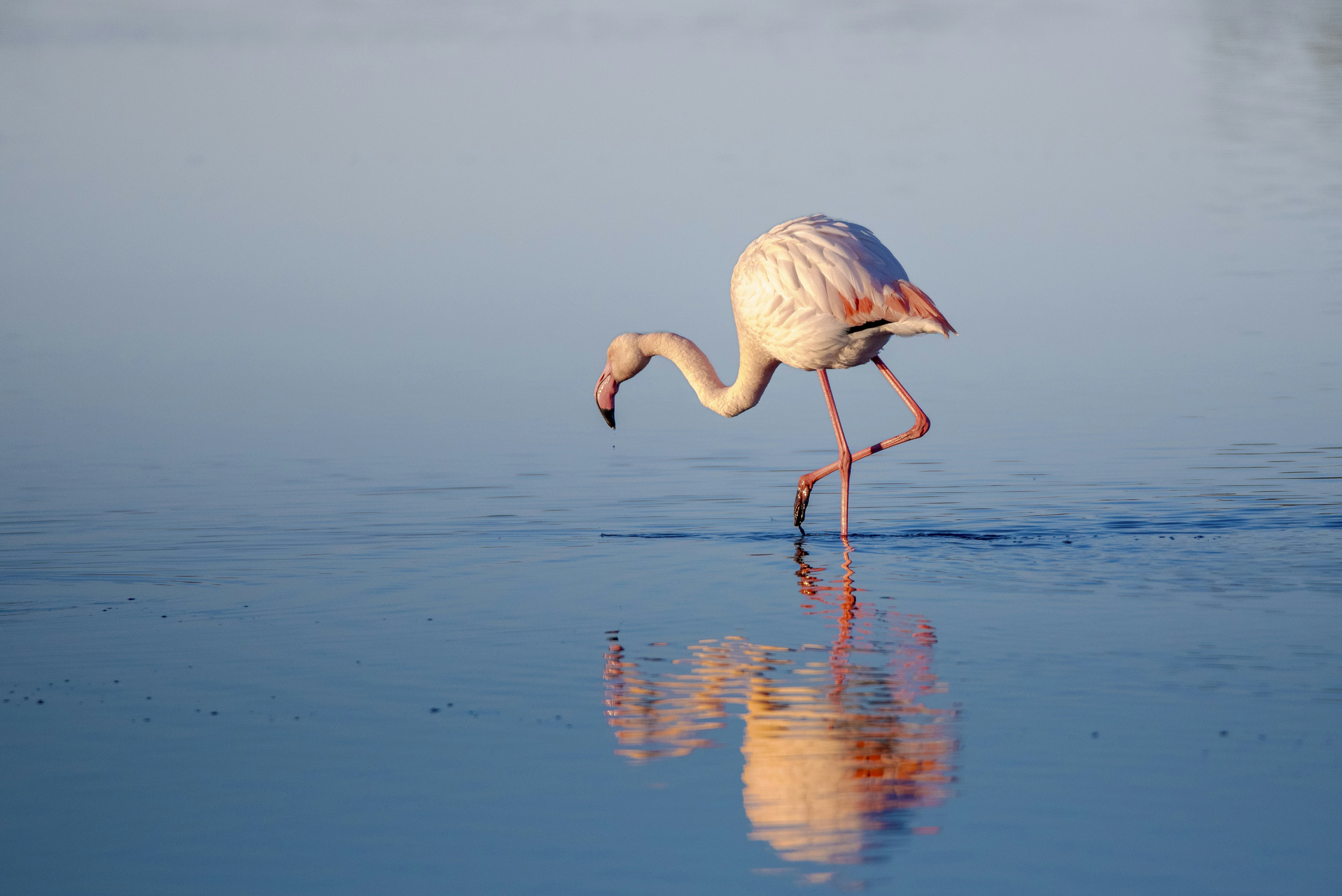 Photo by Philippe BONTEMPS with Nikon D750