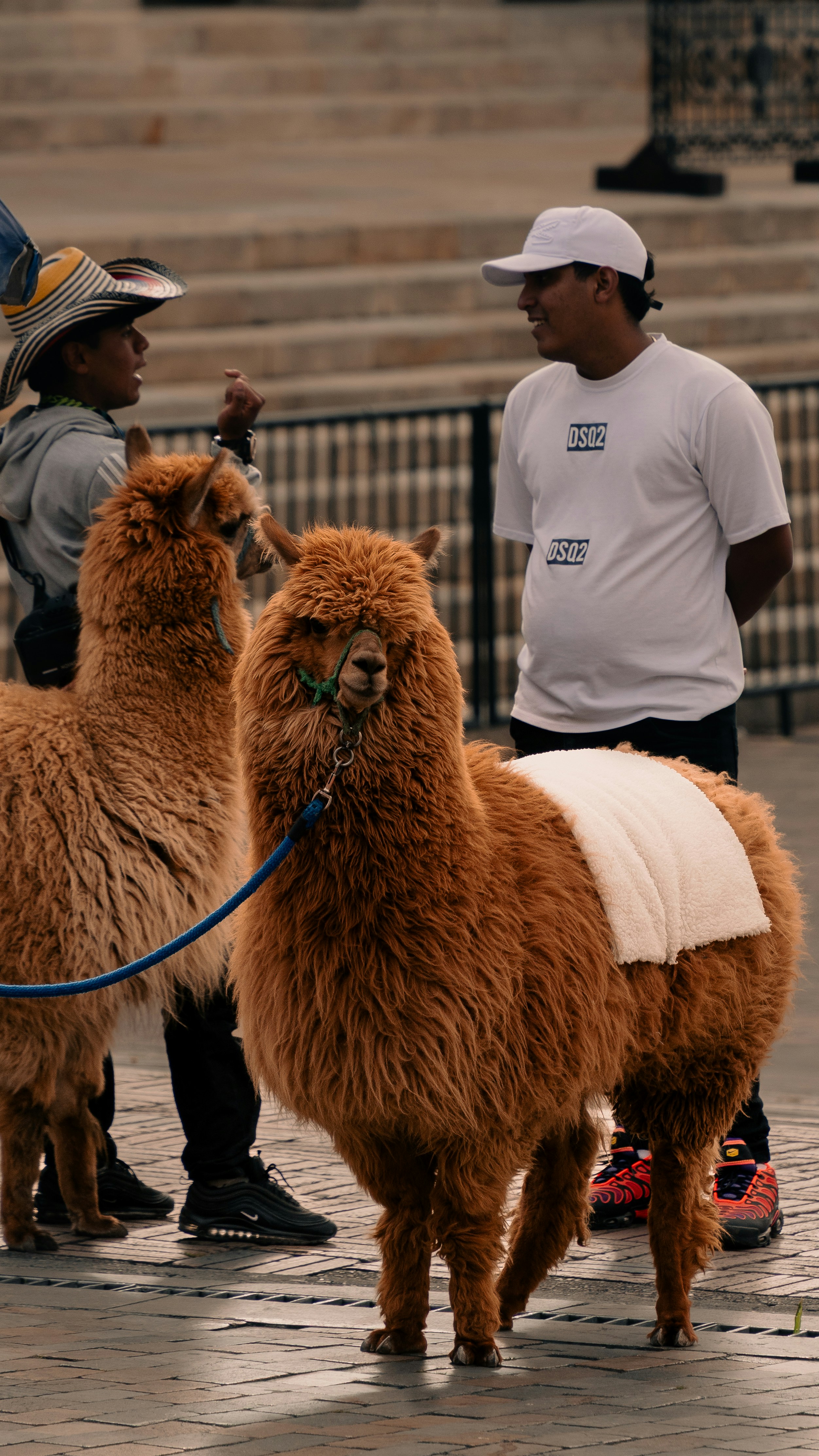 Photo by Nimisha Mekala with Sony Alpha 7 IV