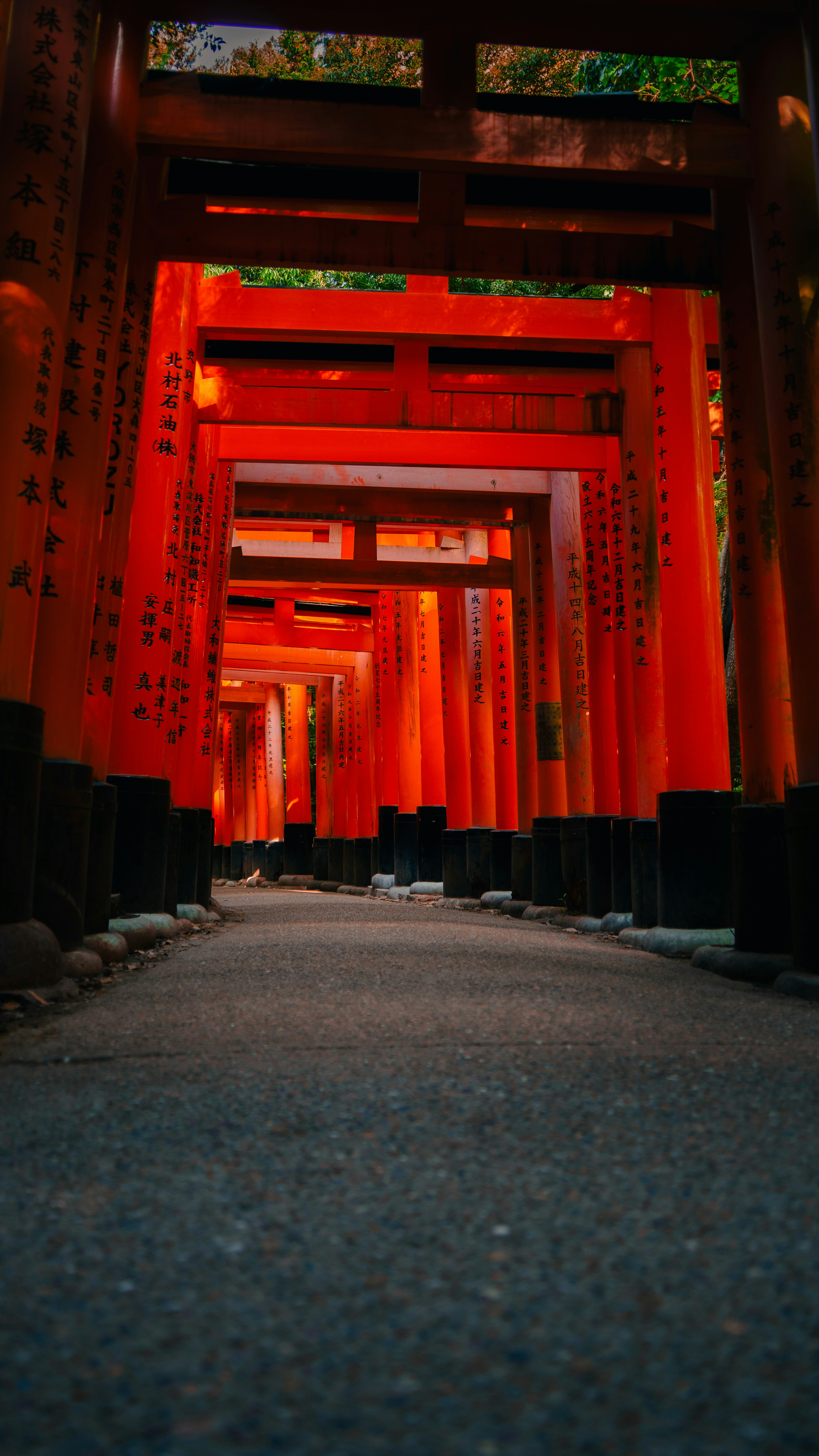 Photo by Nimisha Mekala with Sony Alpha 7 IV