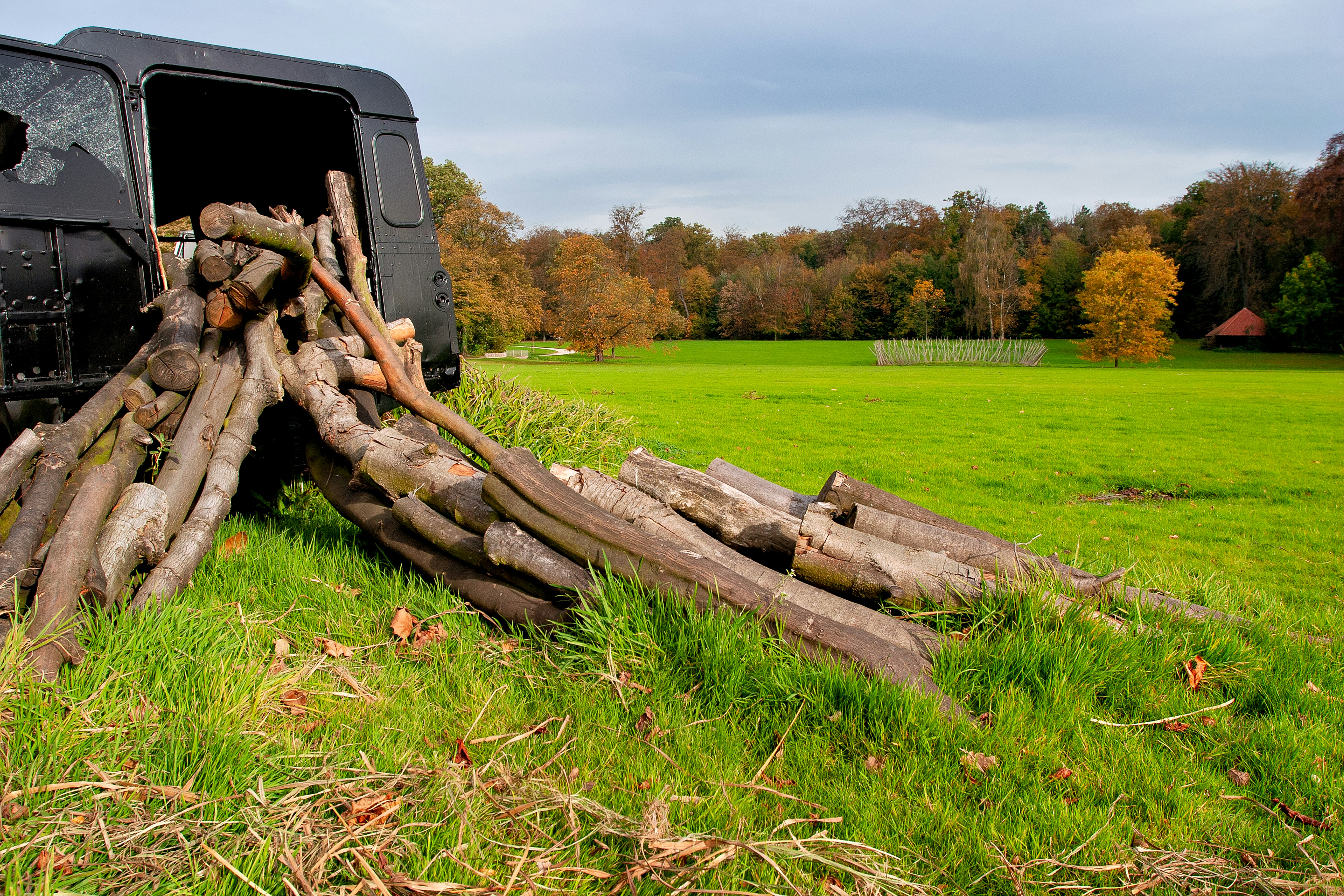 Logs spill from the rear of a black utility vehicle onto a vibrant green field surrounded by autumn trees, creating a scene of nature and labor.