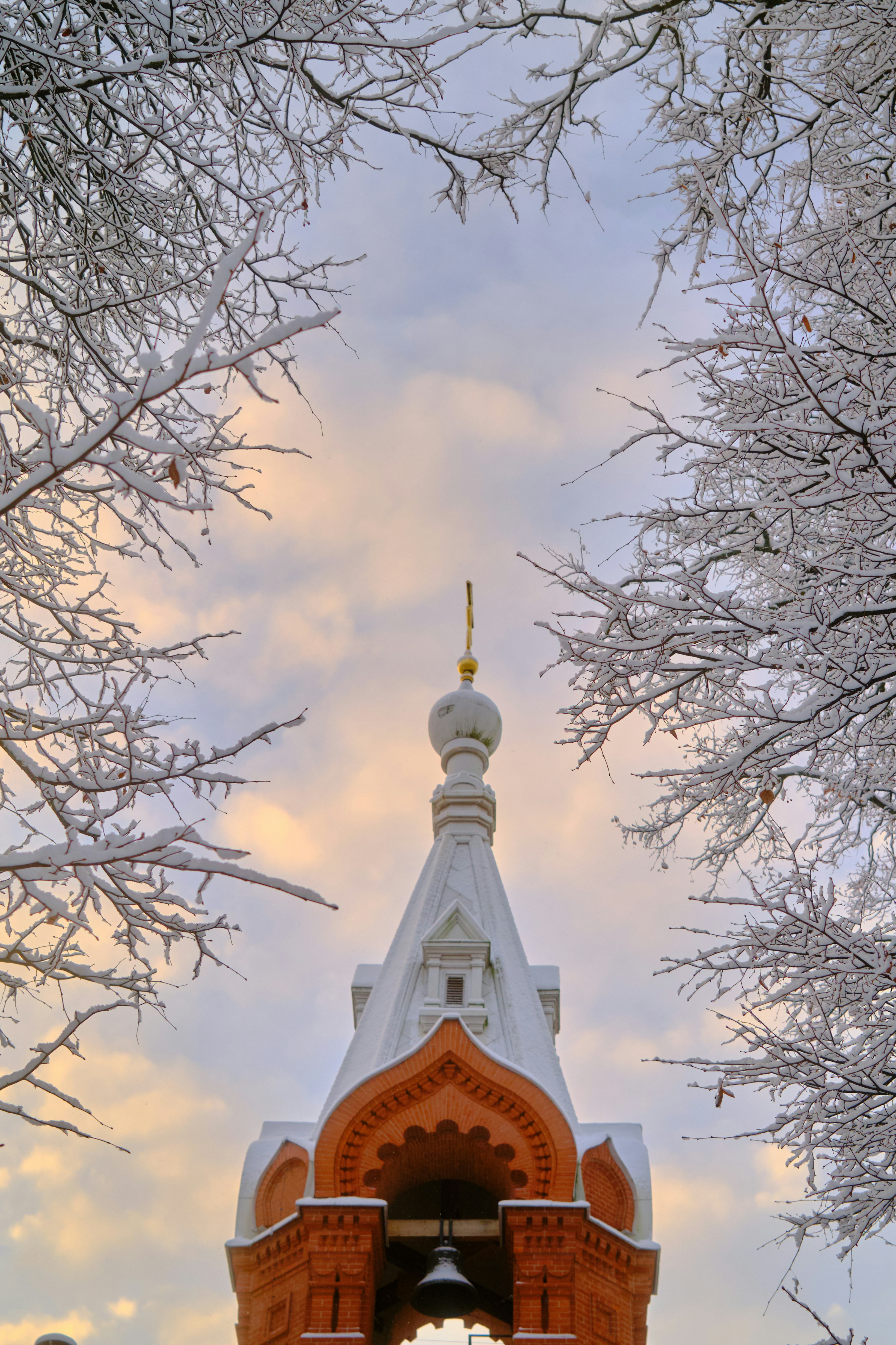 Winter Spire Between Snow-Laced Branches