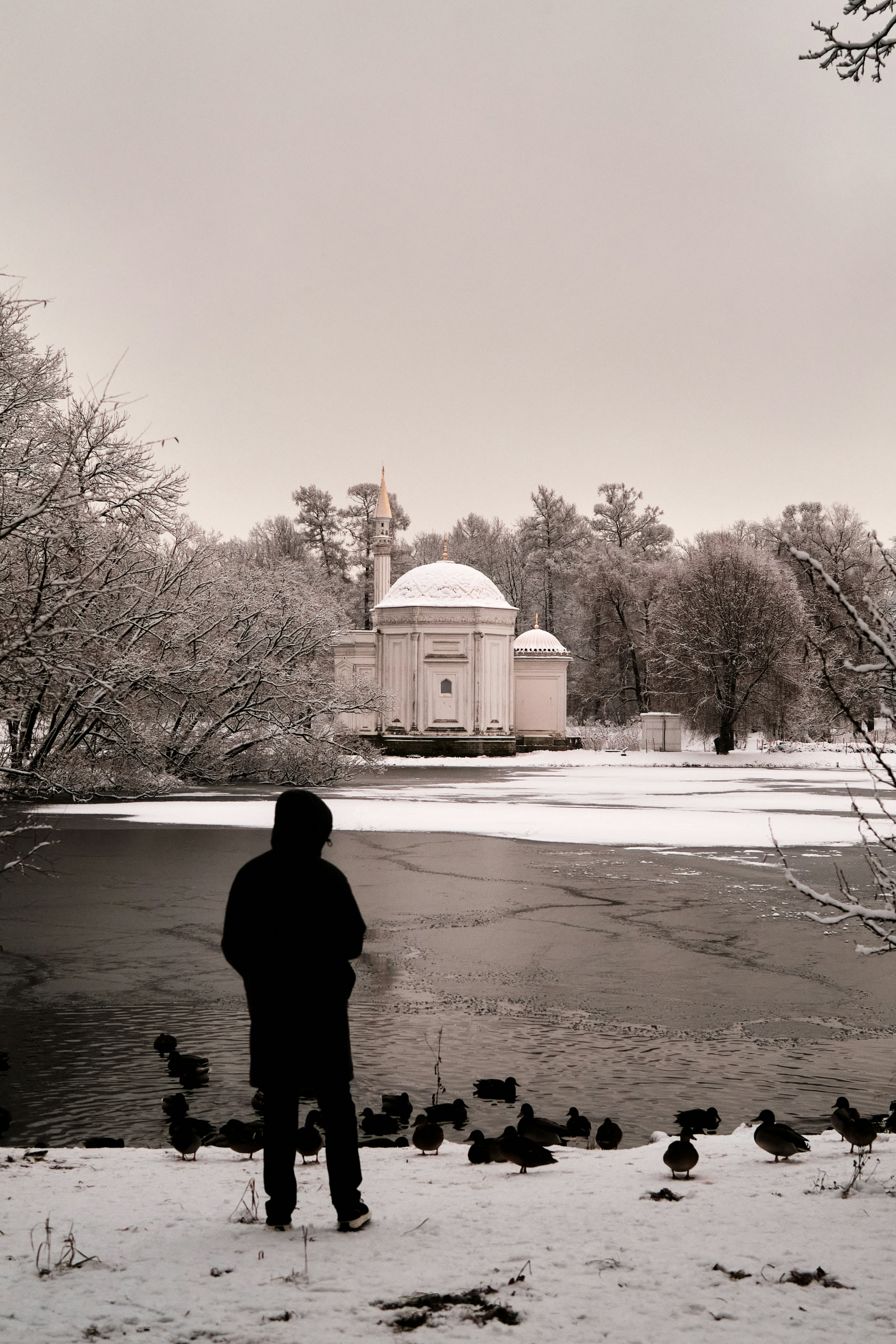 Silhouette by the Snowy Pond: Ducks, Ice, and a Domed Pavilion in Winter Light