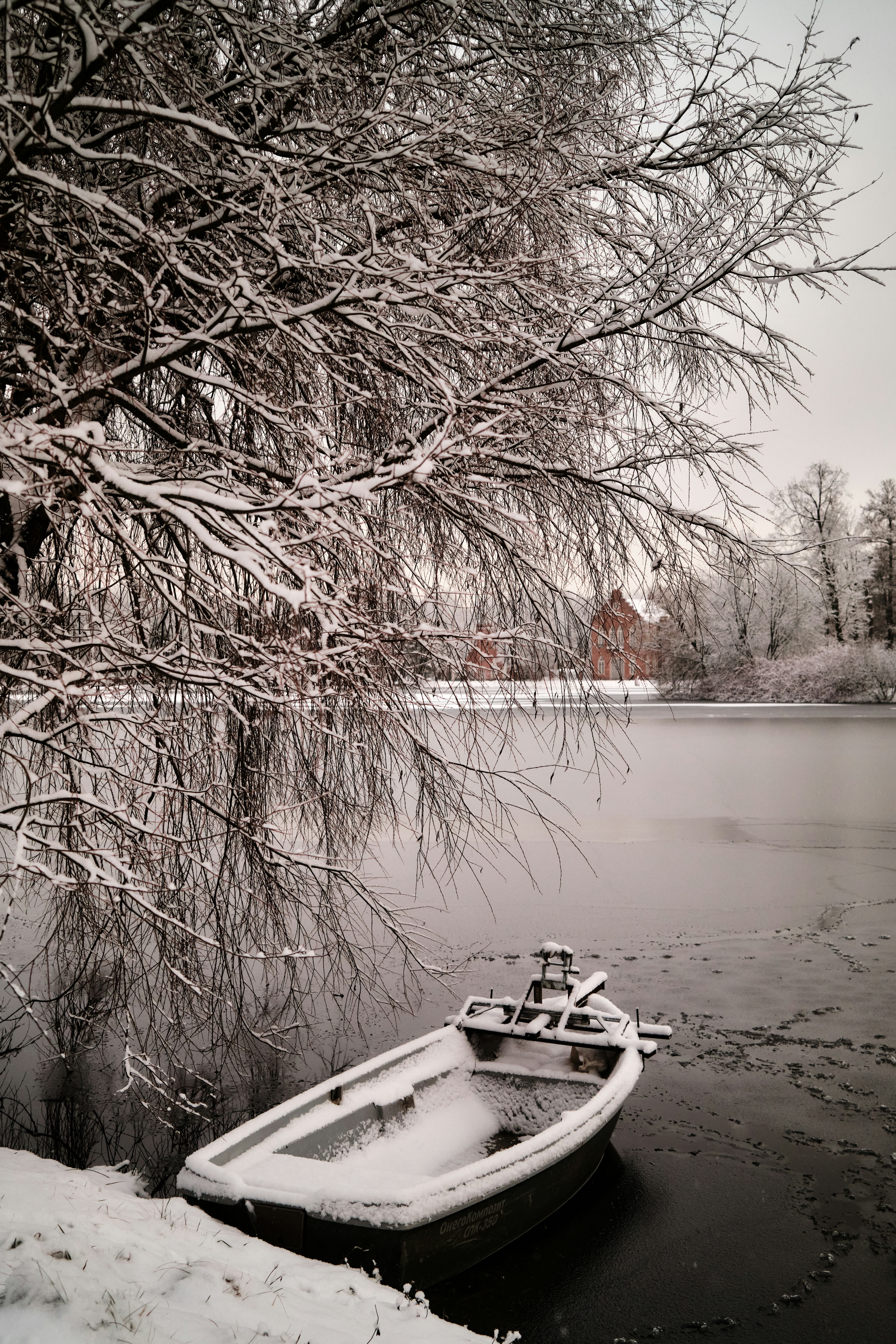 Photo by Konstantin Kitsenuik with Fujifilm X100VI