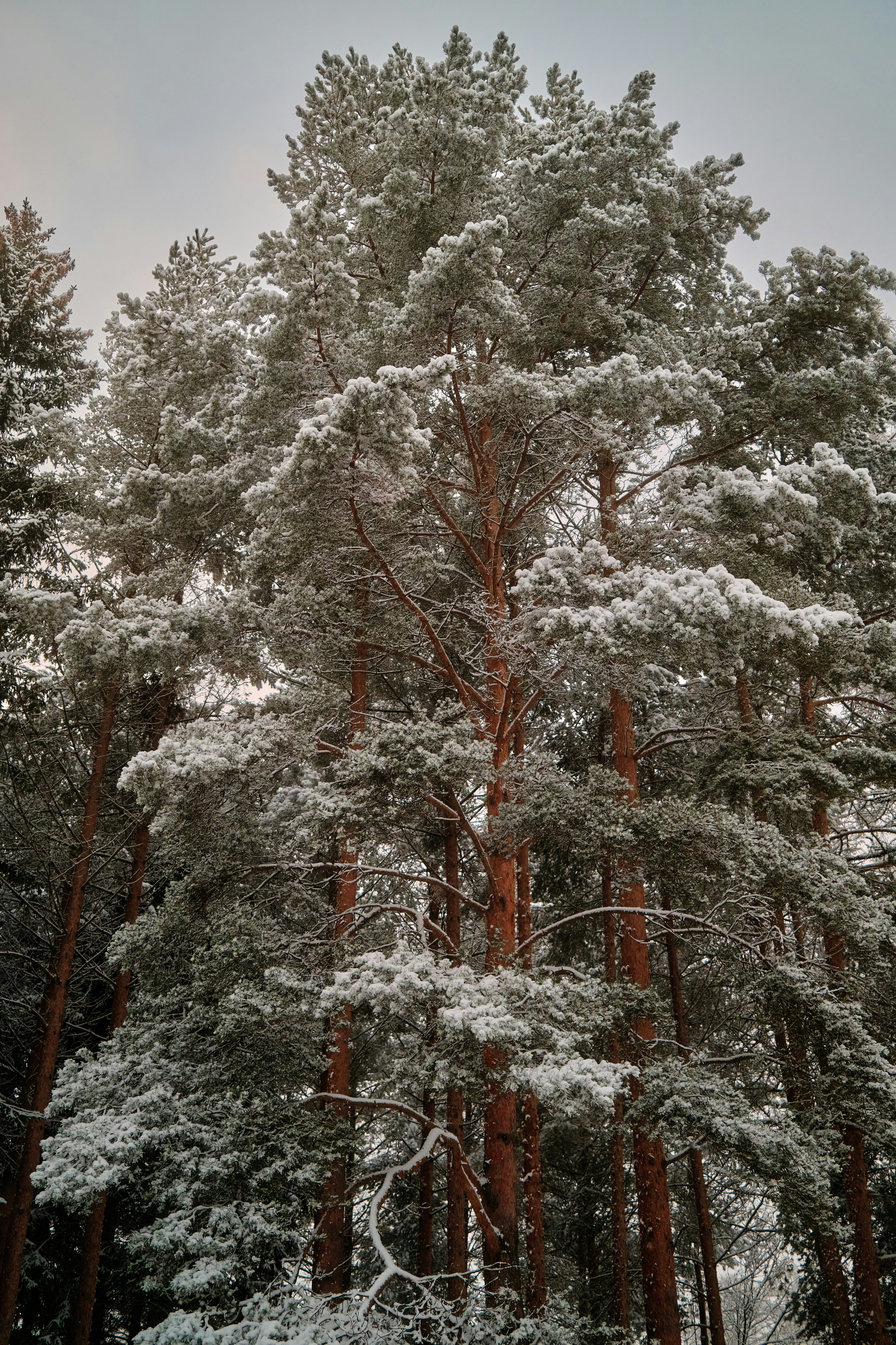 Photo by Konstantin Kitsenuik with Fujifilm X100VI