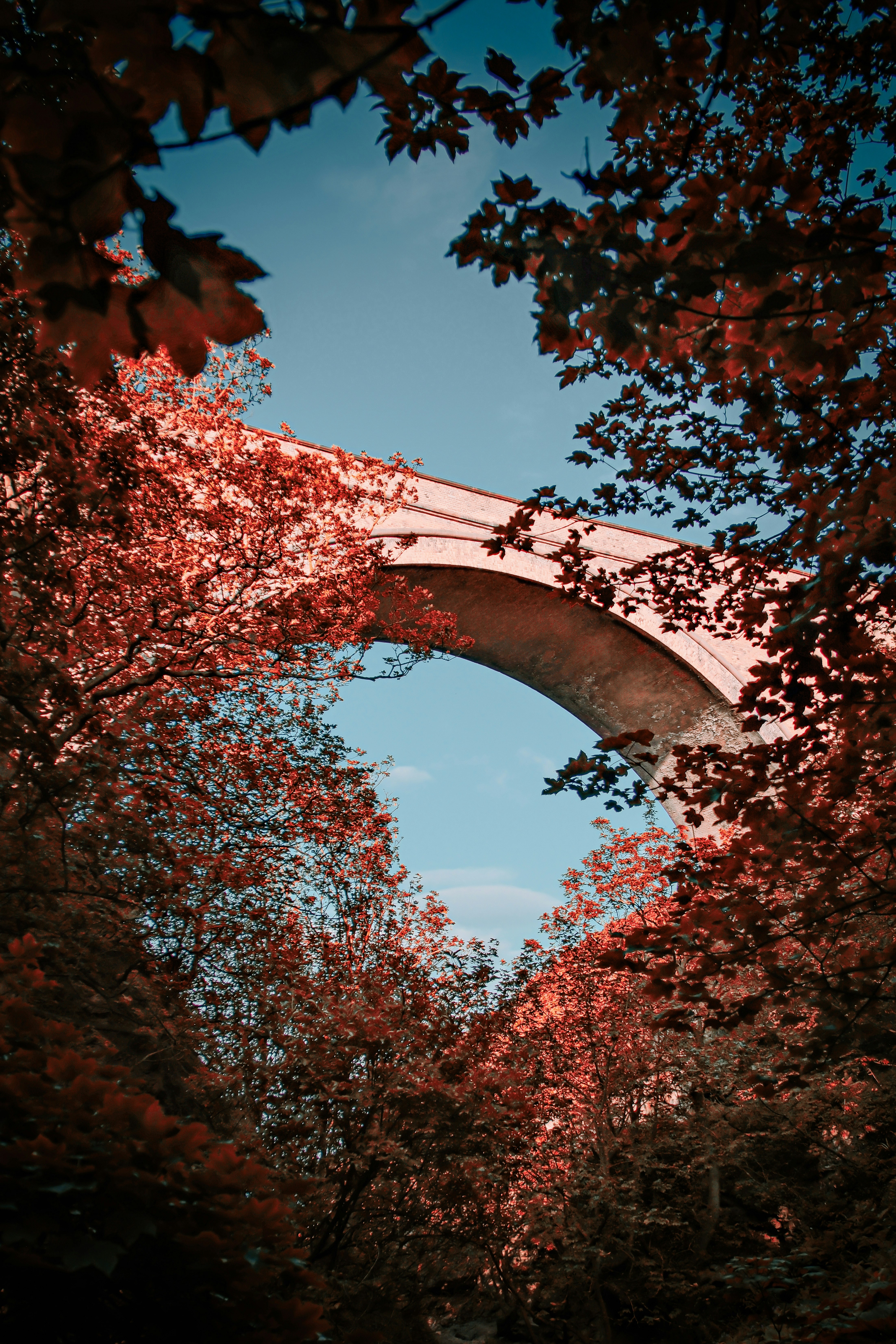 Crimson Arch Framed by Autumn Canopy