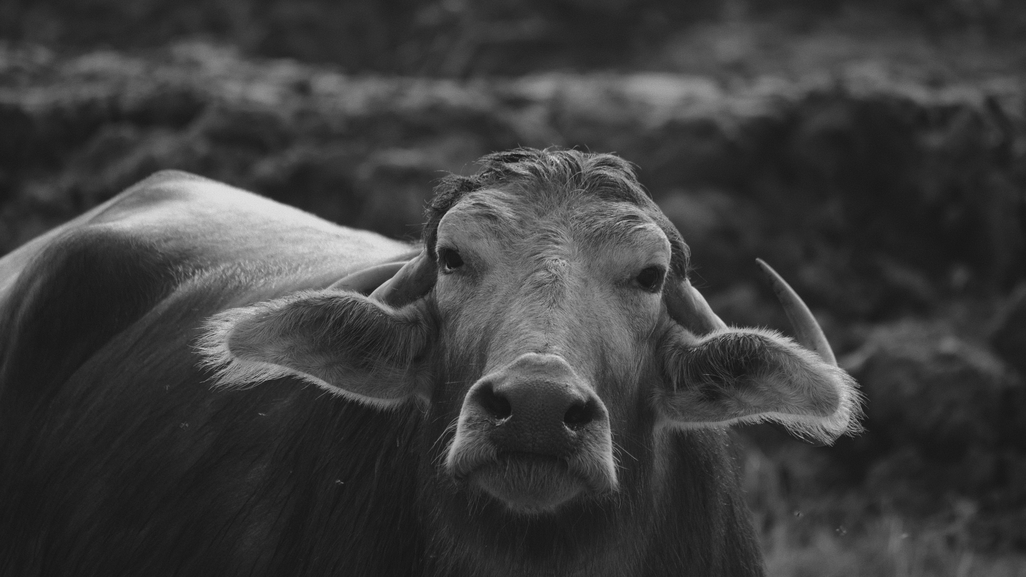 Photo by Slava Taukachou with Canon EOS 450D