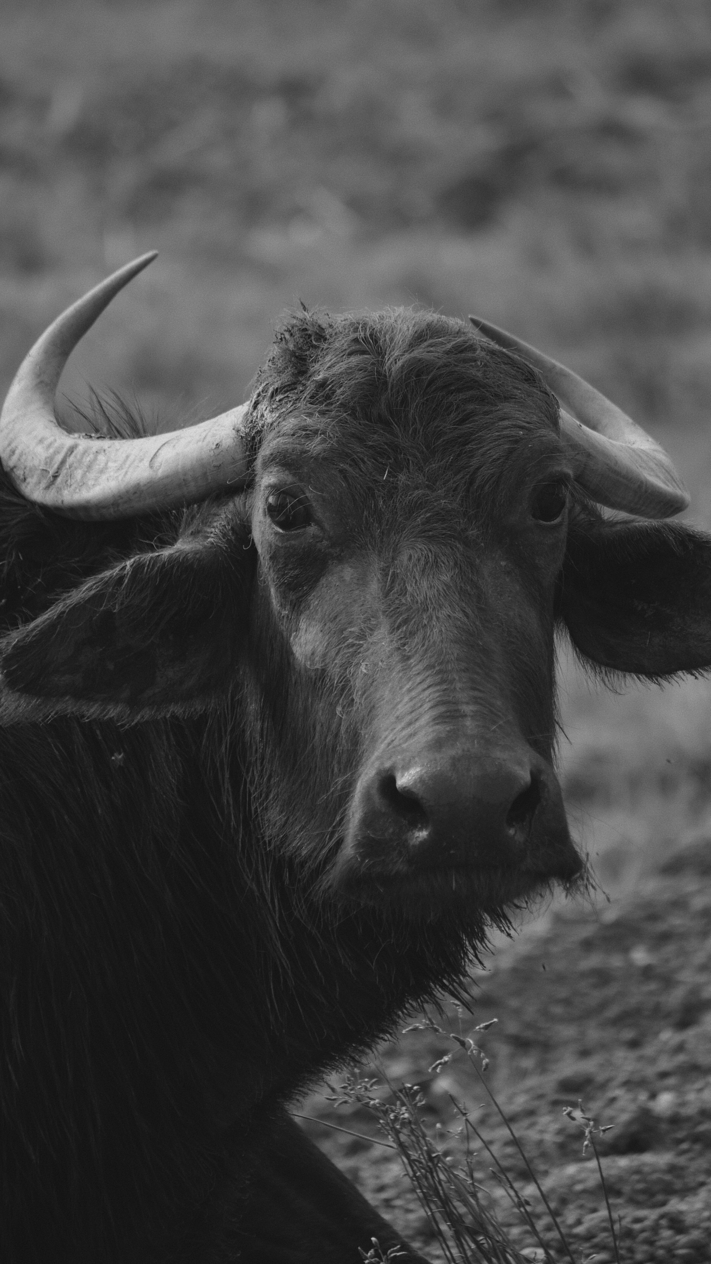 Photo by Slava Taukachou with Canon EOS 450D