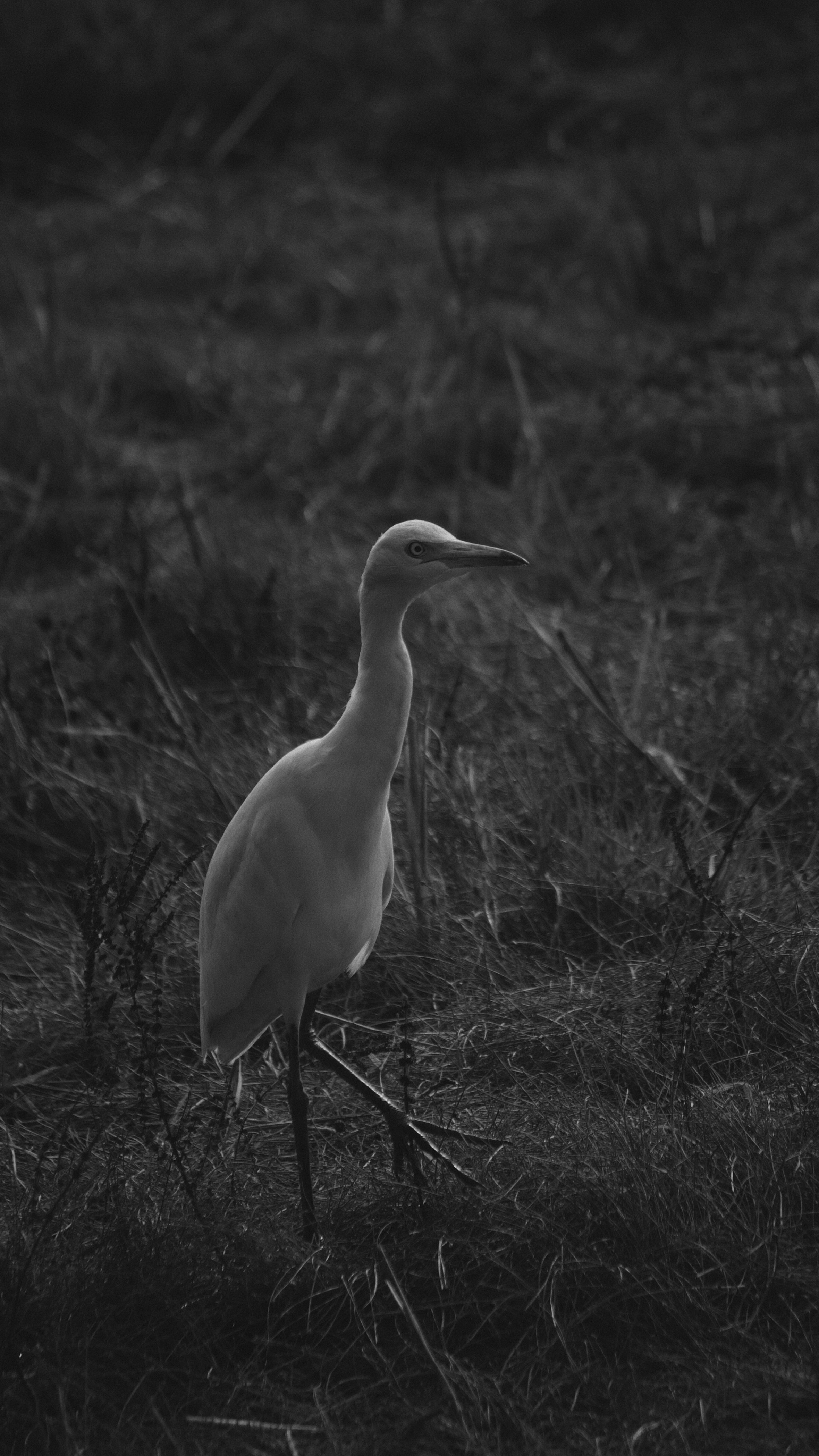 Photo by Slava Taukachou with Canon EOS 450D