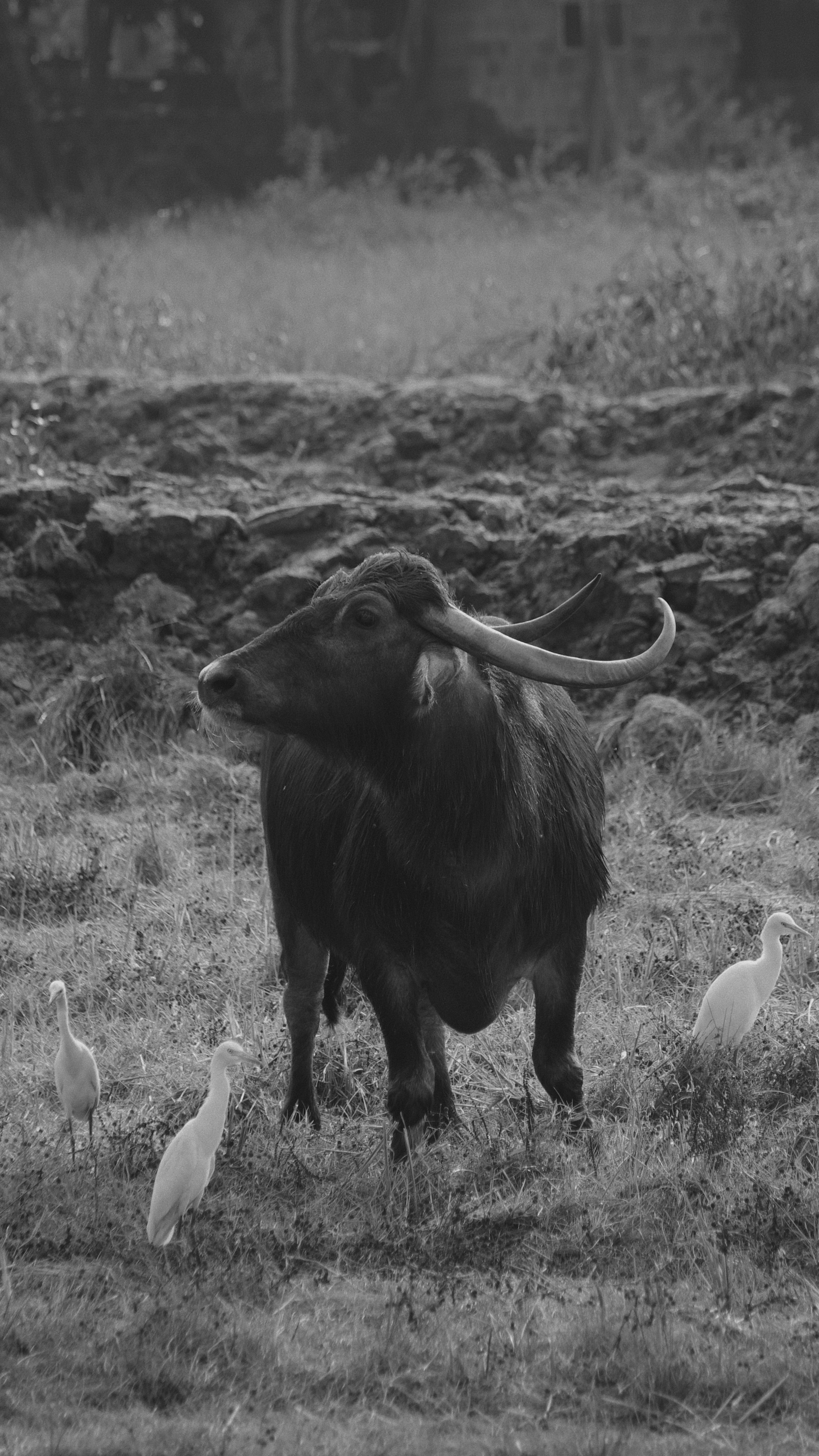 Photo by Slava Taukachou with Canon EOS 450D