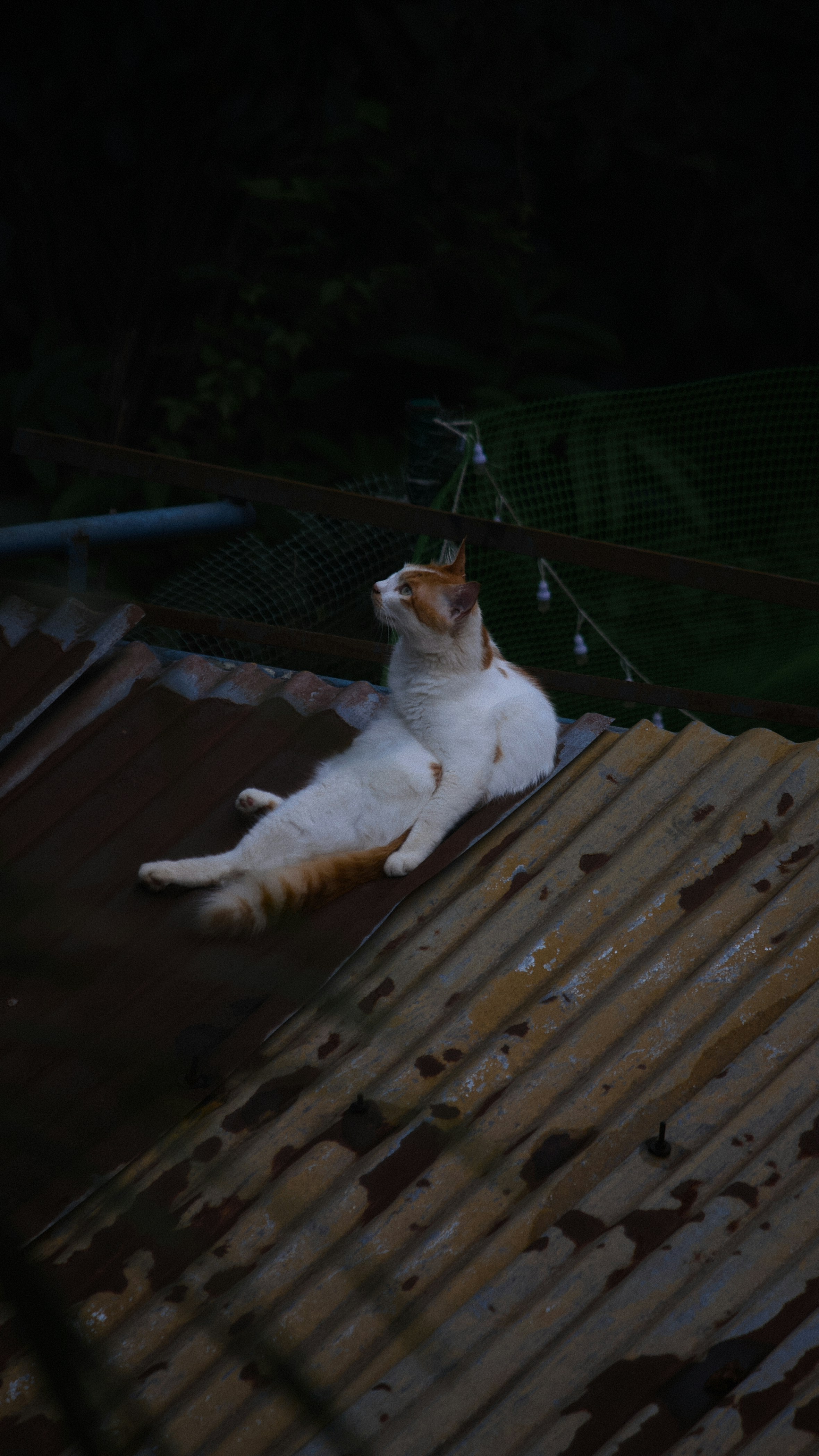 Photo by Slava Taukachou with Canon EOS 450D