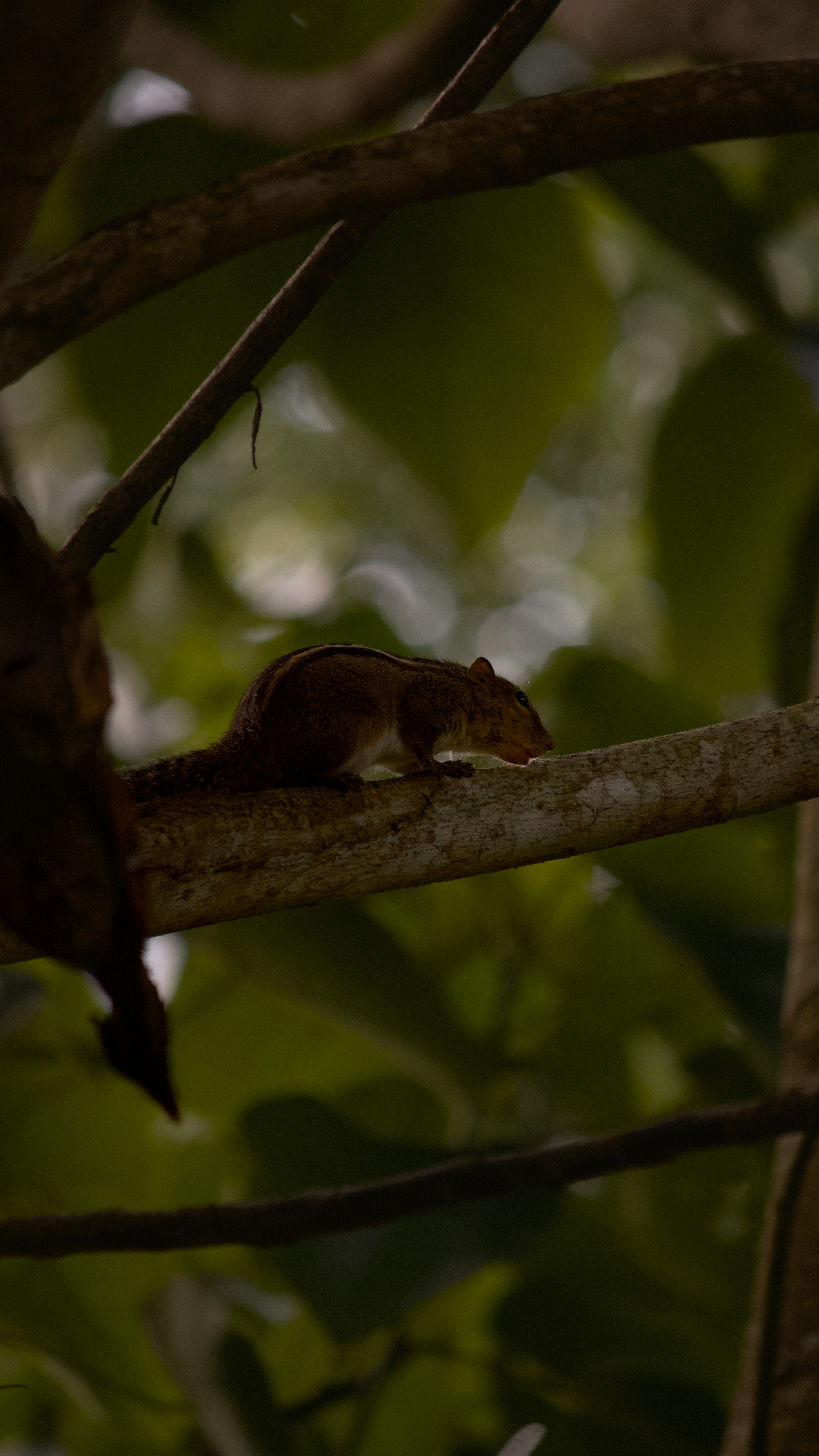 Photo by Slava Taukachou with Canon EOS 450D