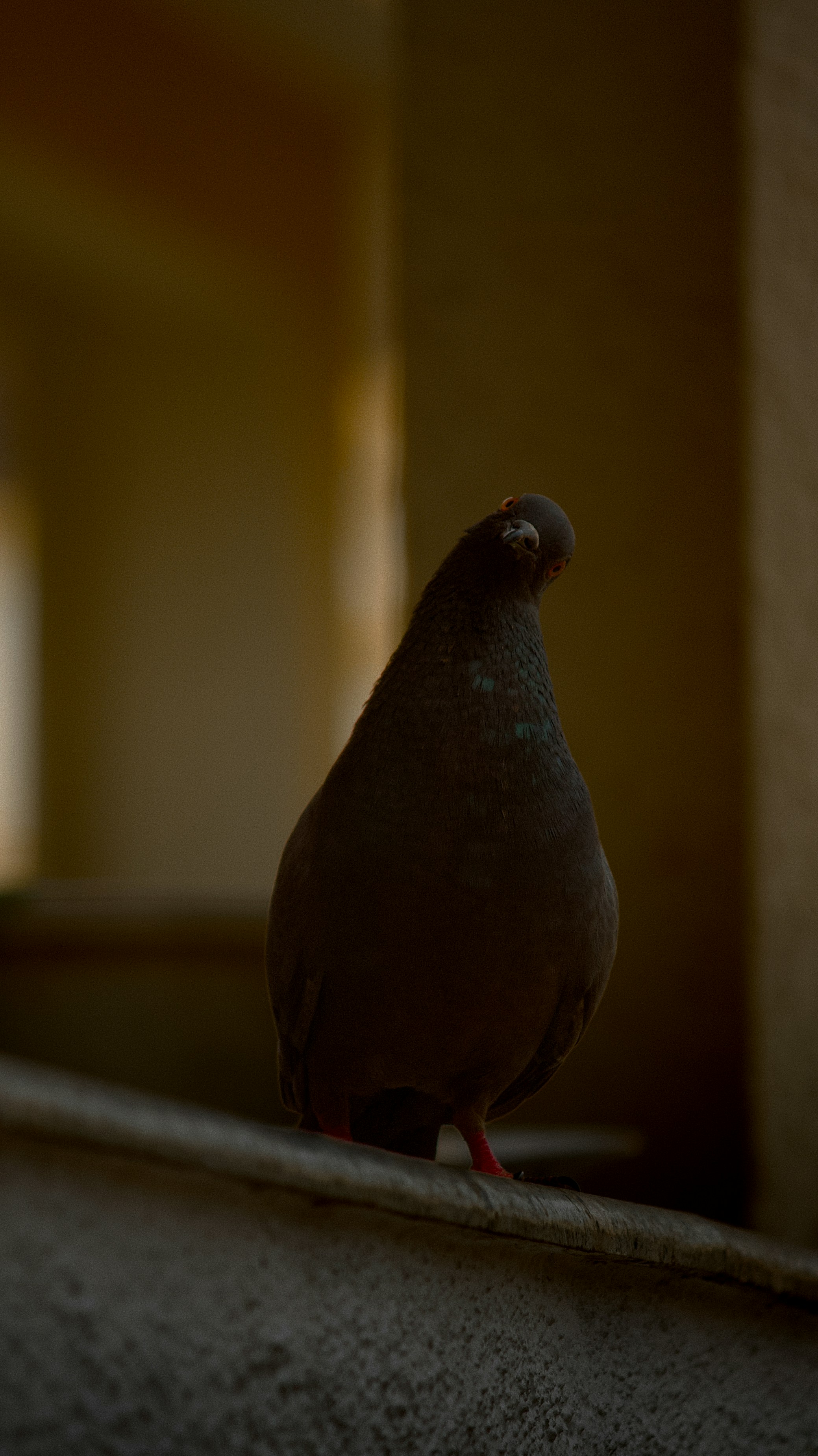 Photo by Slava Taukachou with Canon EOS 450D