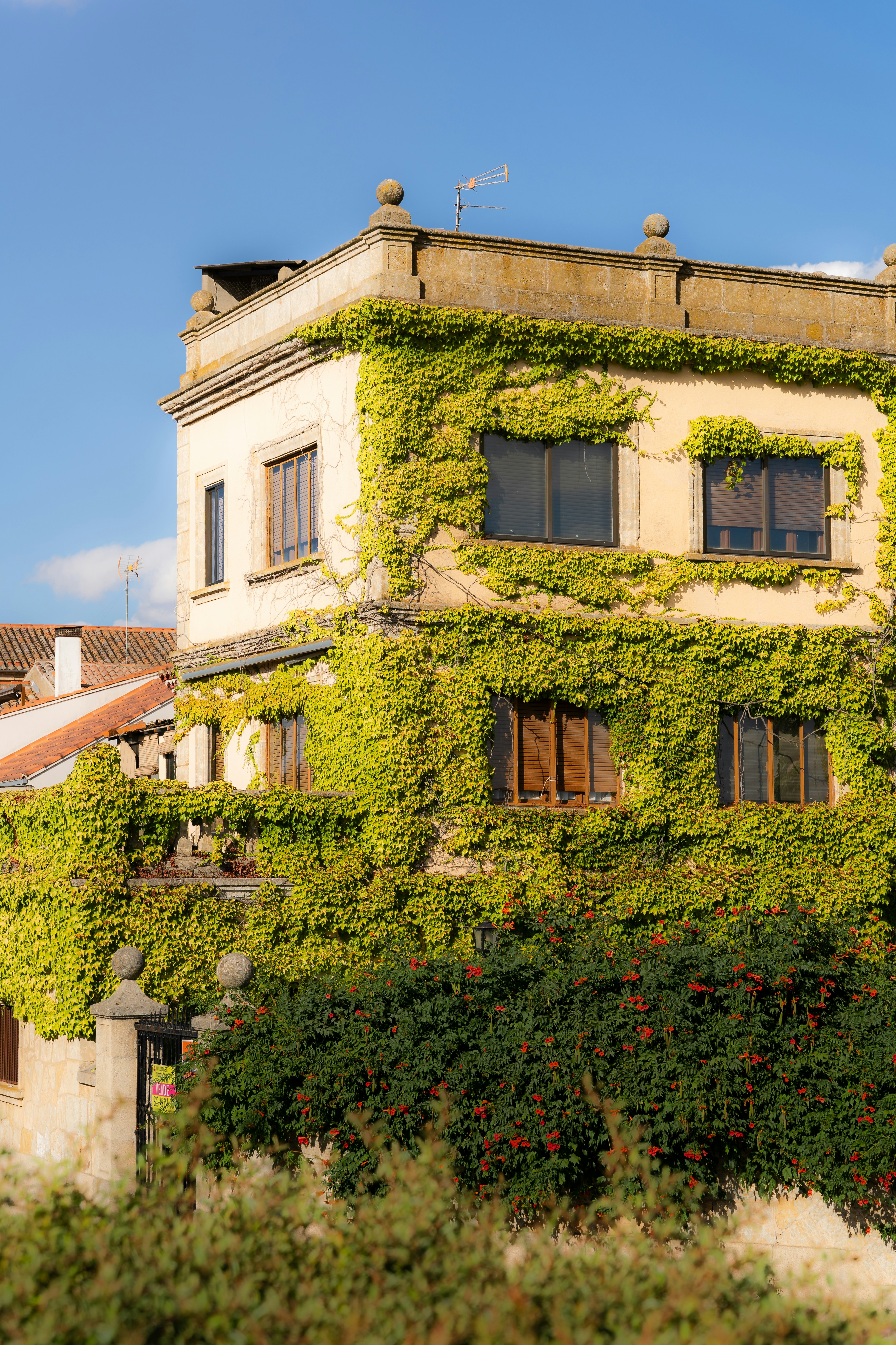 Photo by Tiago Ferreira with Sony Alpha 7 III