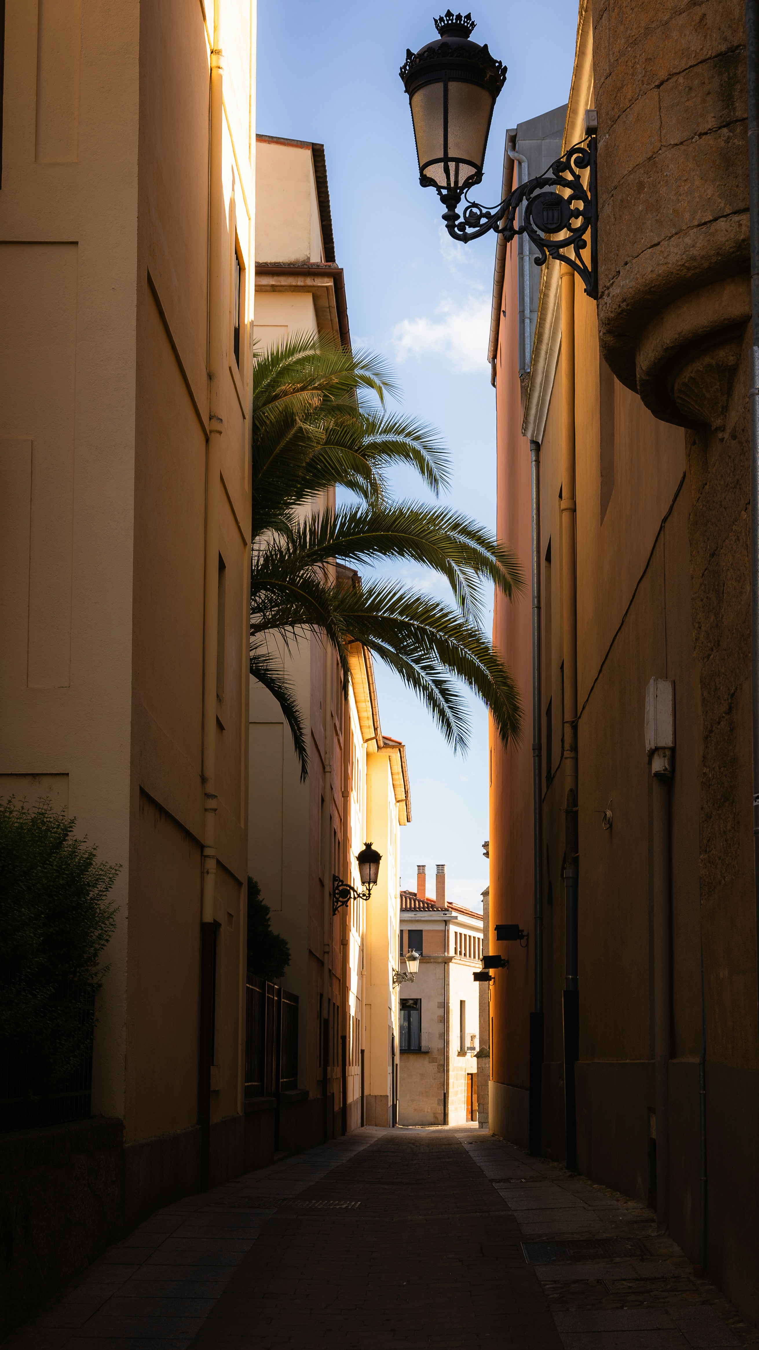 Photo by Tiago Ferreira with Sony Alpha 7 III