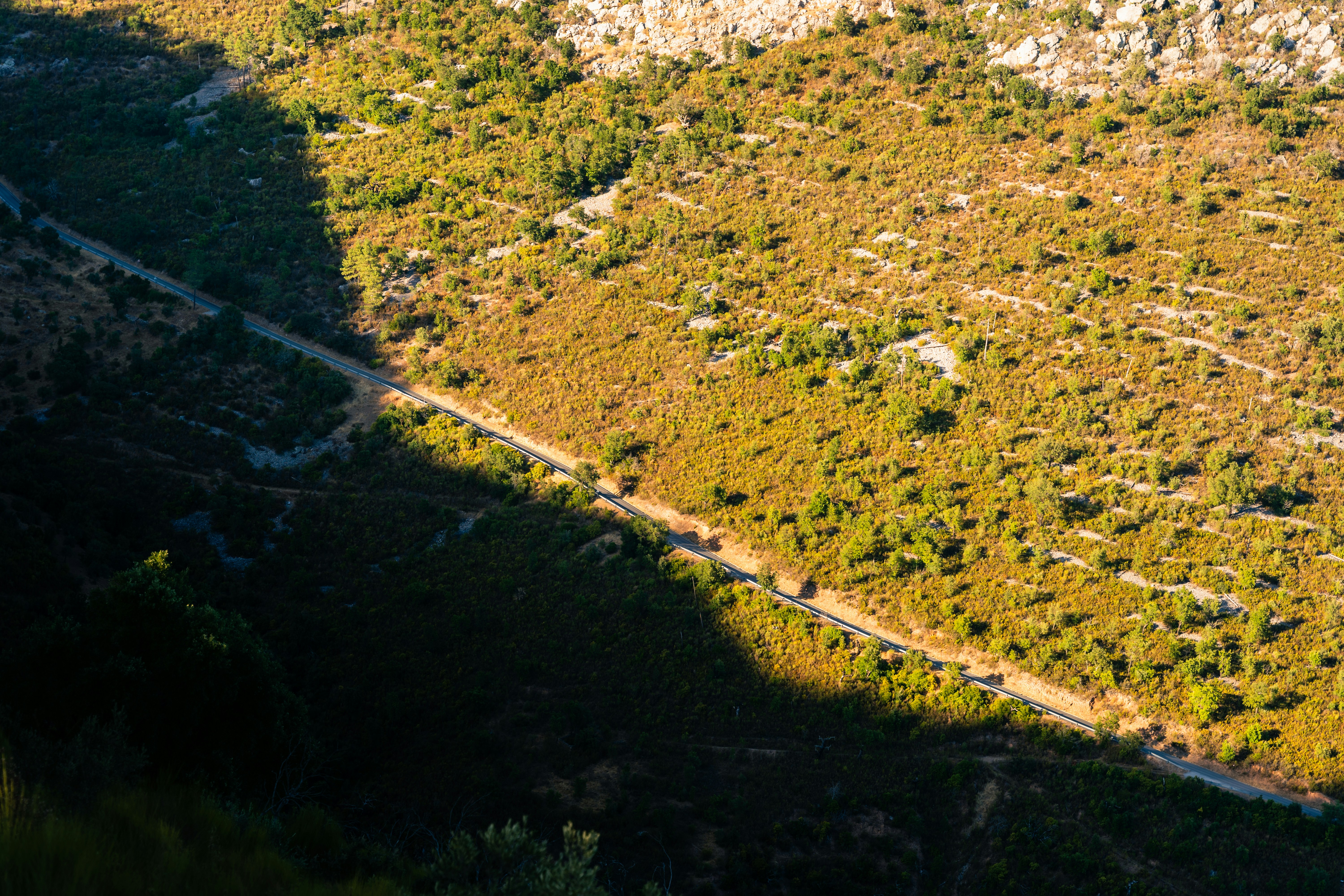 Photo by Tiago Ferreira with Sony Alpha 7 III