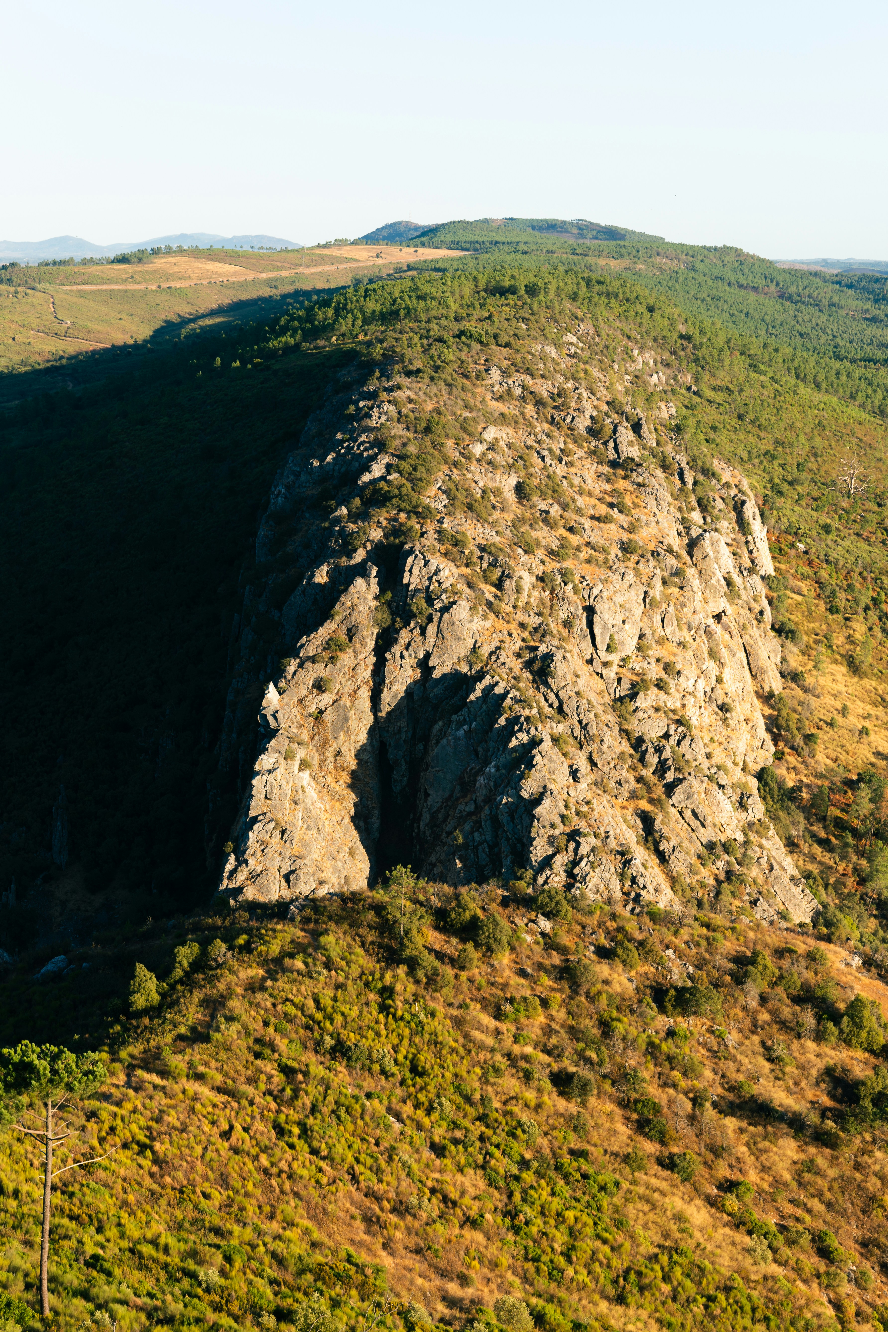 Photo by Tiago Ferreira with Sony Alpha 7 III