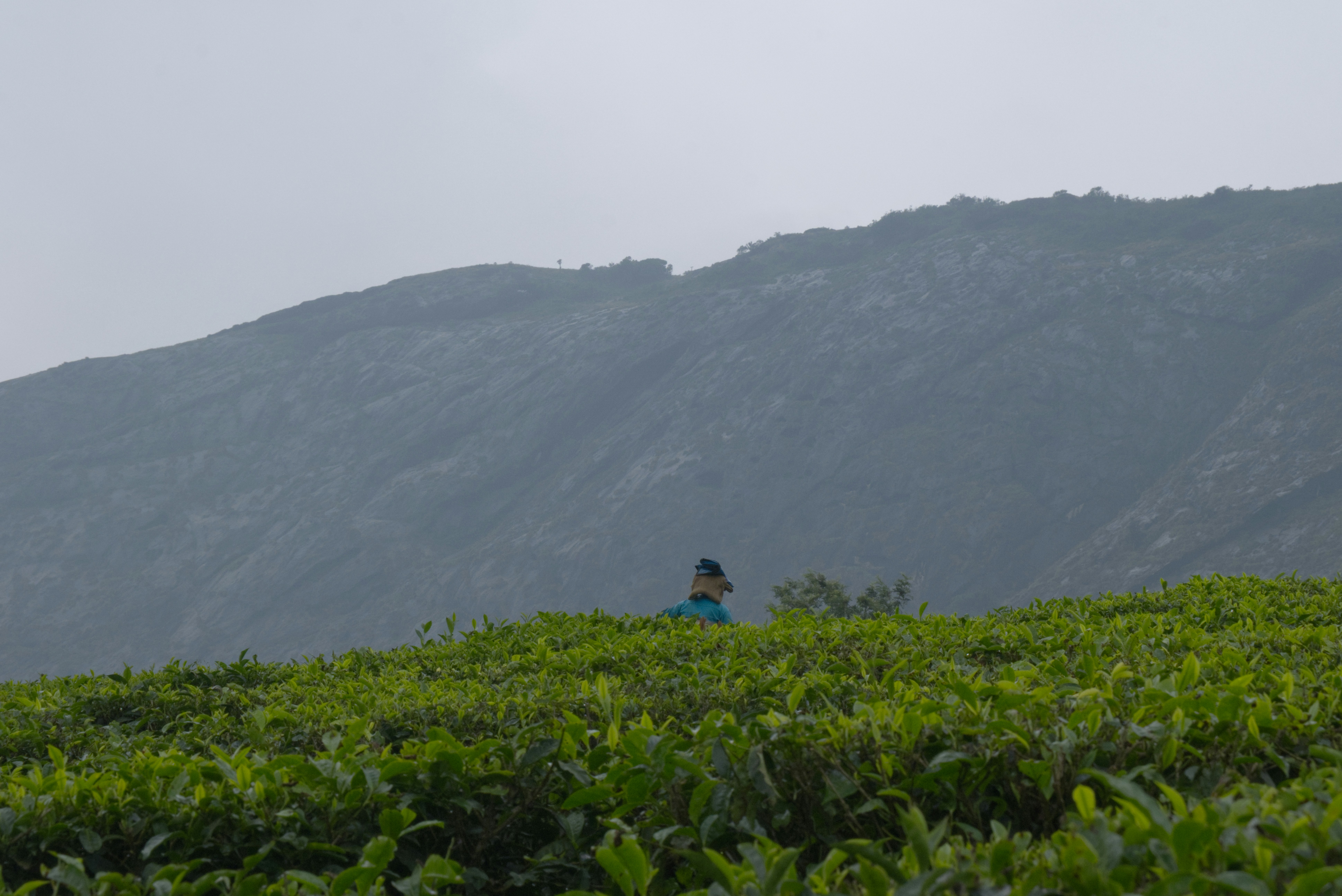 Photo by Shubham Dhage with Fujifilm X-H2