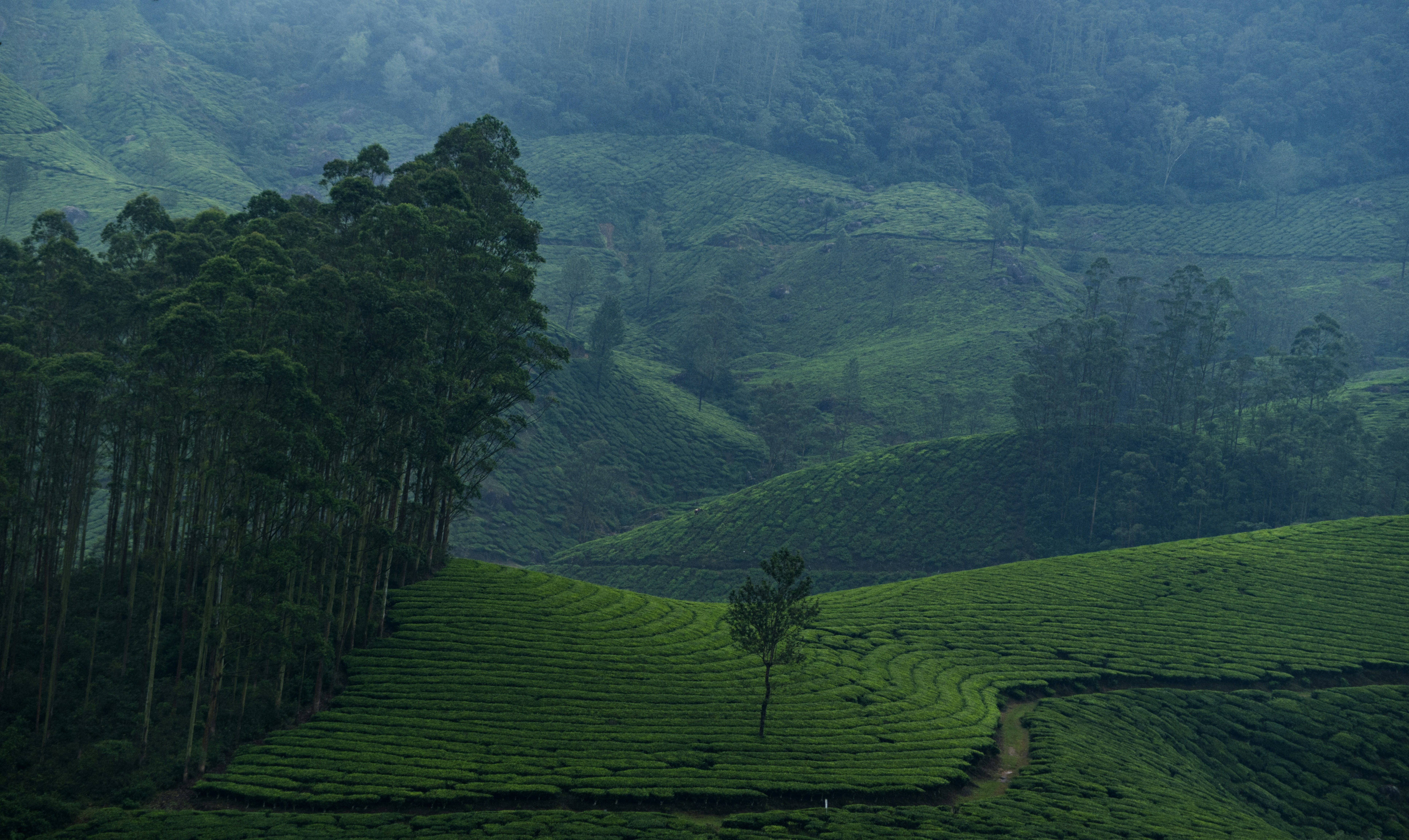 Photo by Shubham Dhage with Fujifilm X-H2