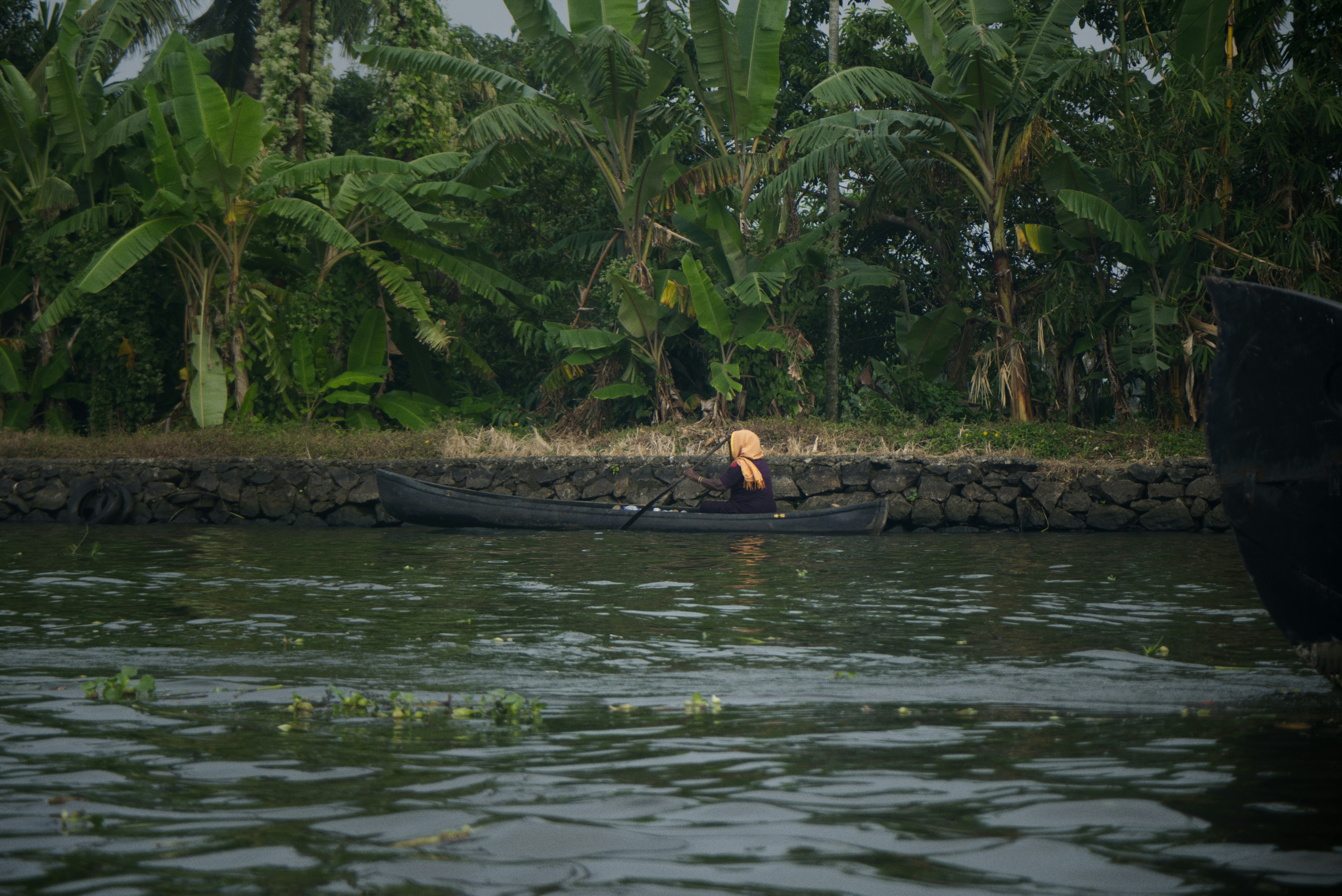 Oars in the Quiet: A Solitary Rower by the Banana-Lined Riverbank