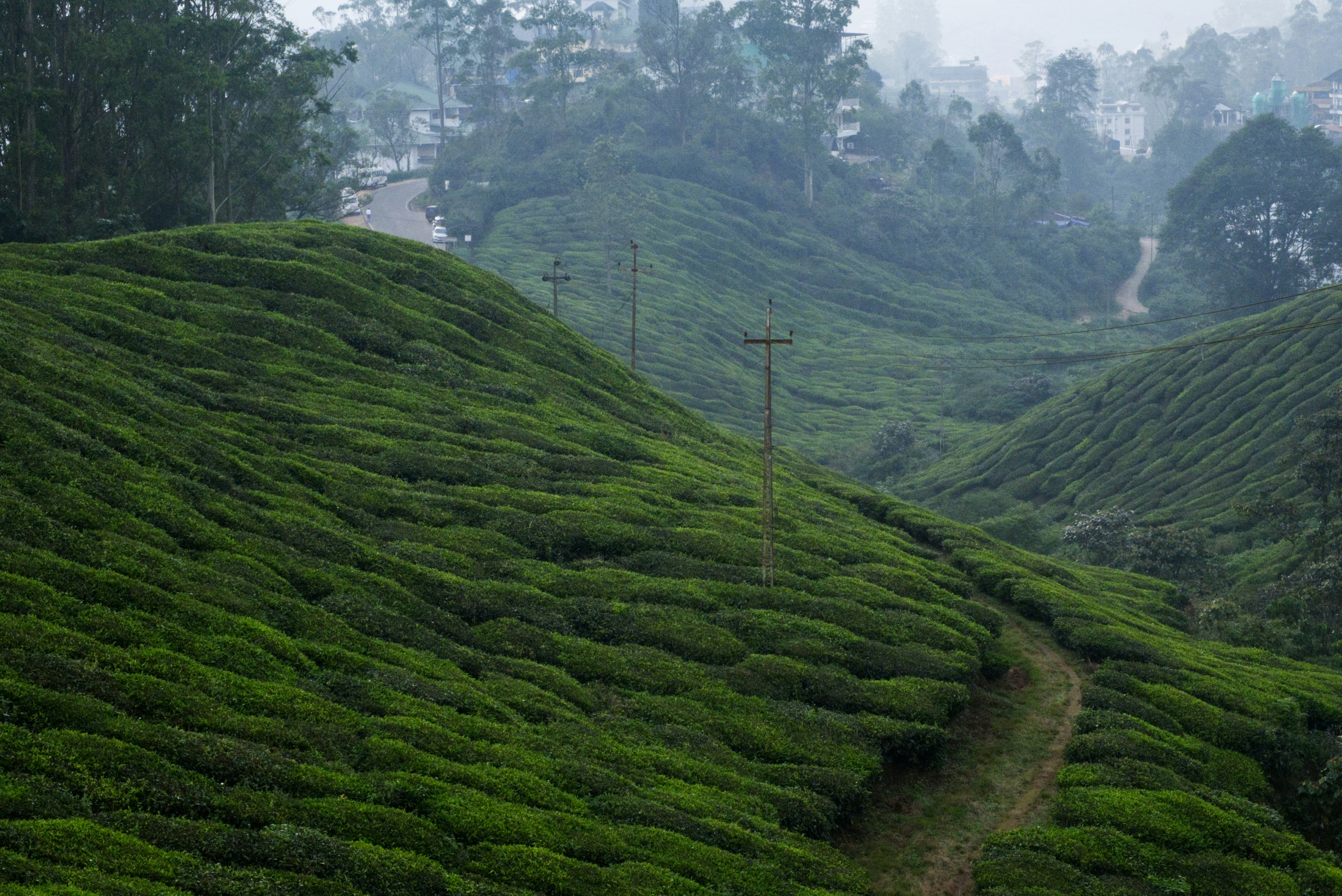 Photo by Shubham Dhage with Fujifilm X-H2