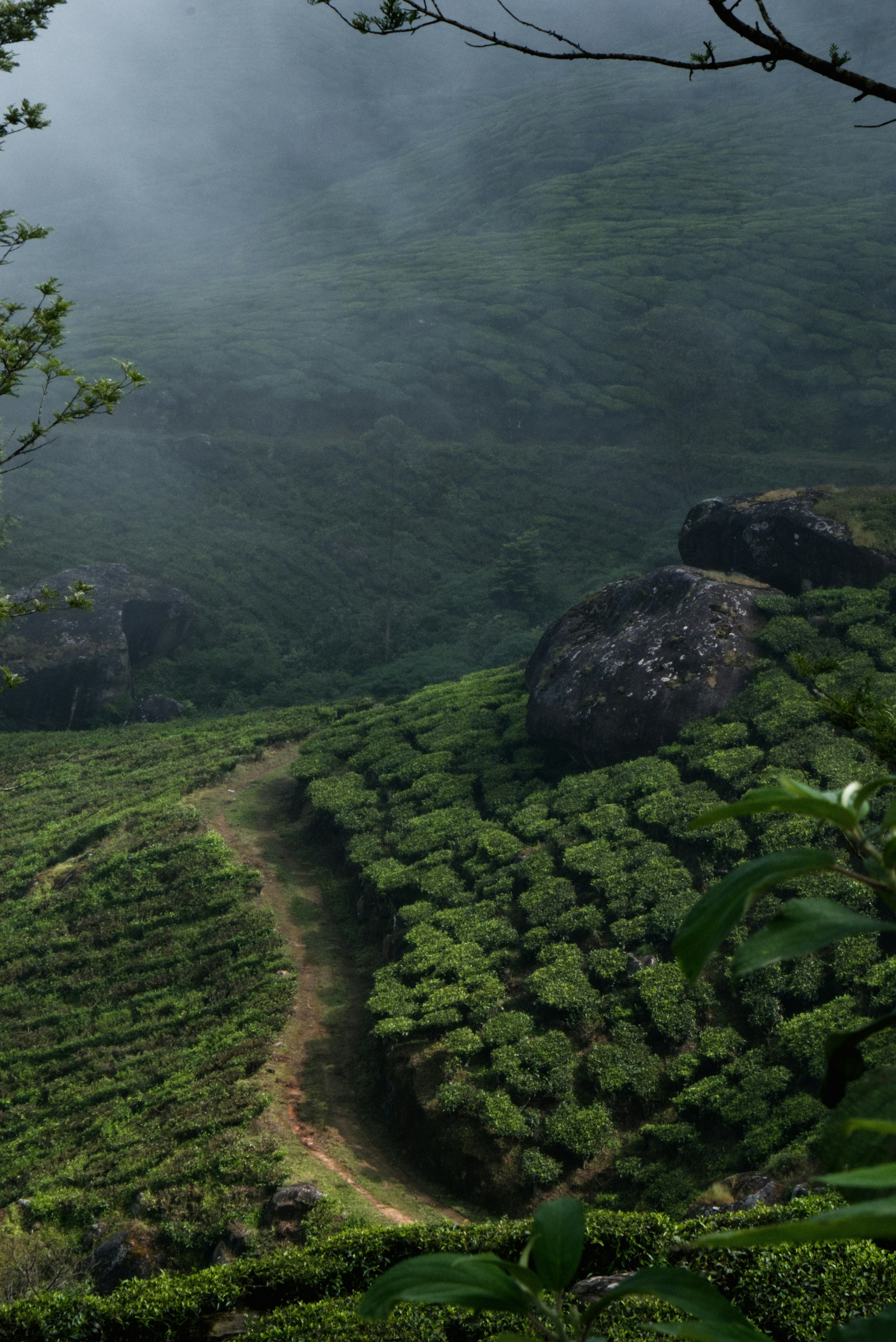 Photo by Shubham Dhage with Fujifilm X-H2