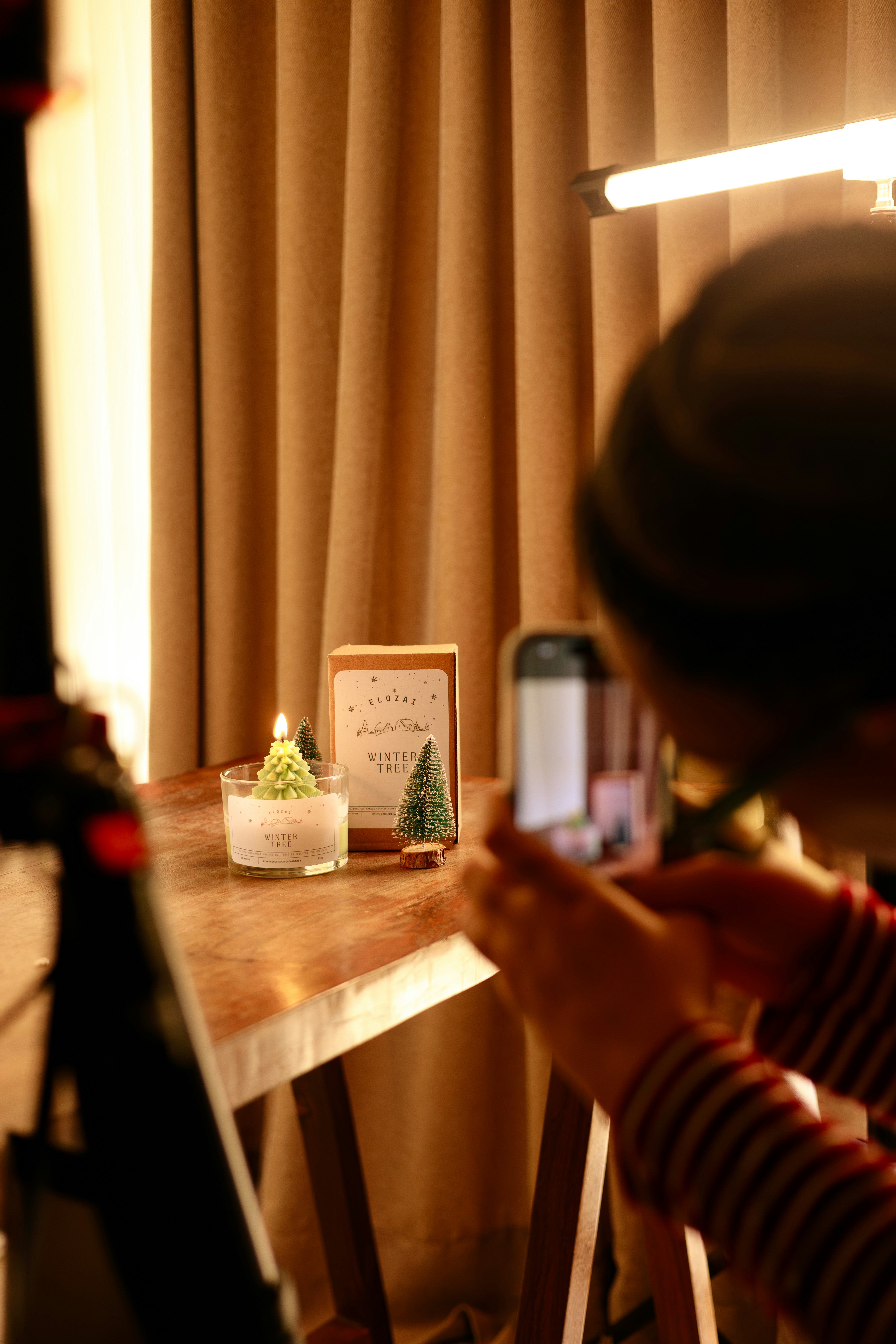 Warm Glow on a Tiny Holiday Table: Mini Christmas Trees under Soft Studio Light