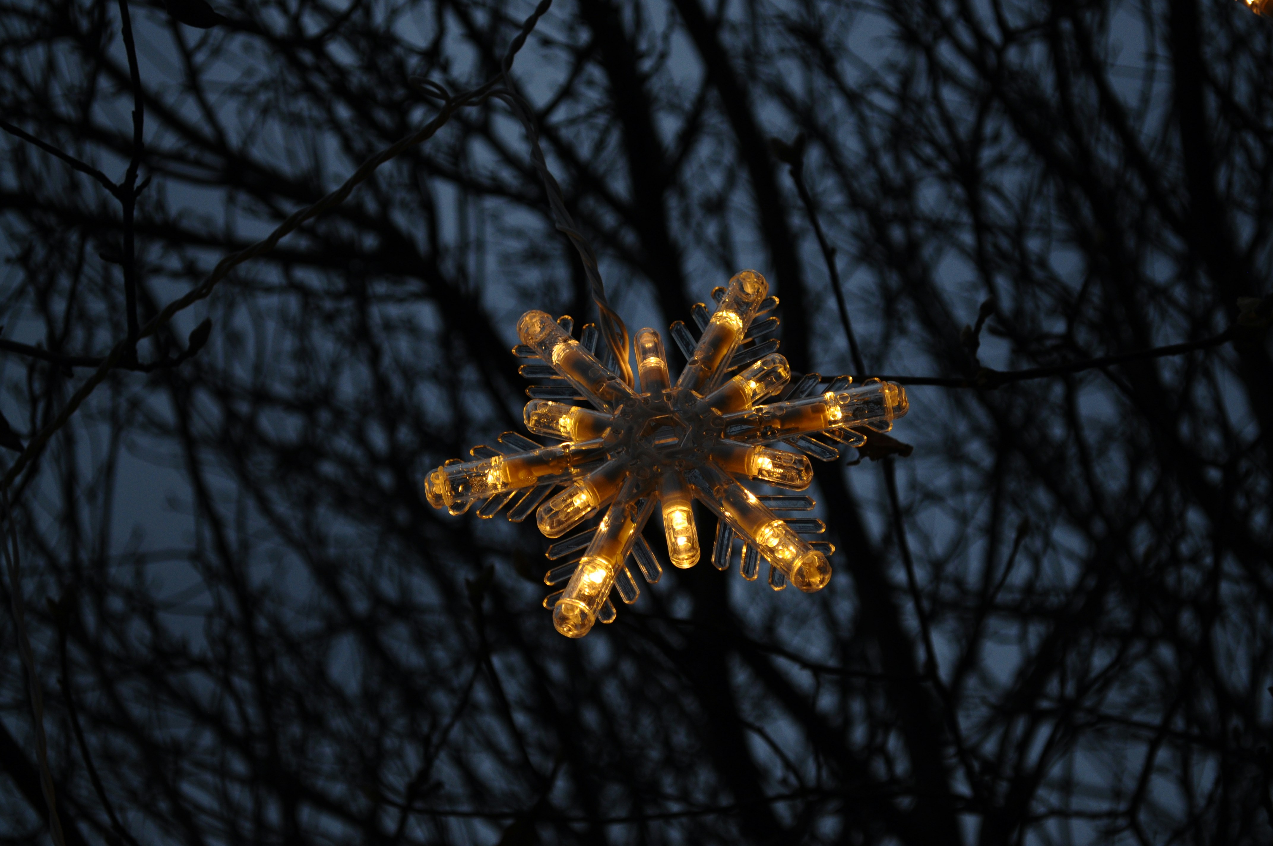 Snowflake of Lights: Night Glimmer Between Branches