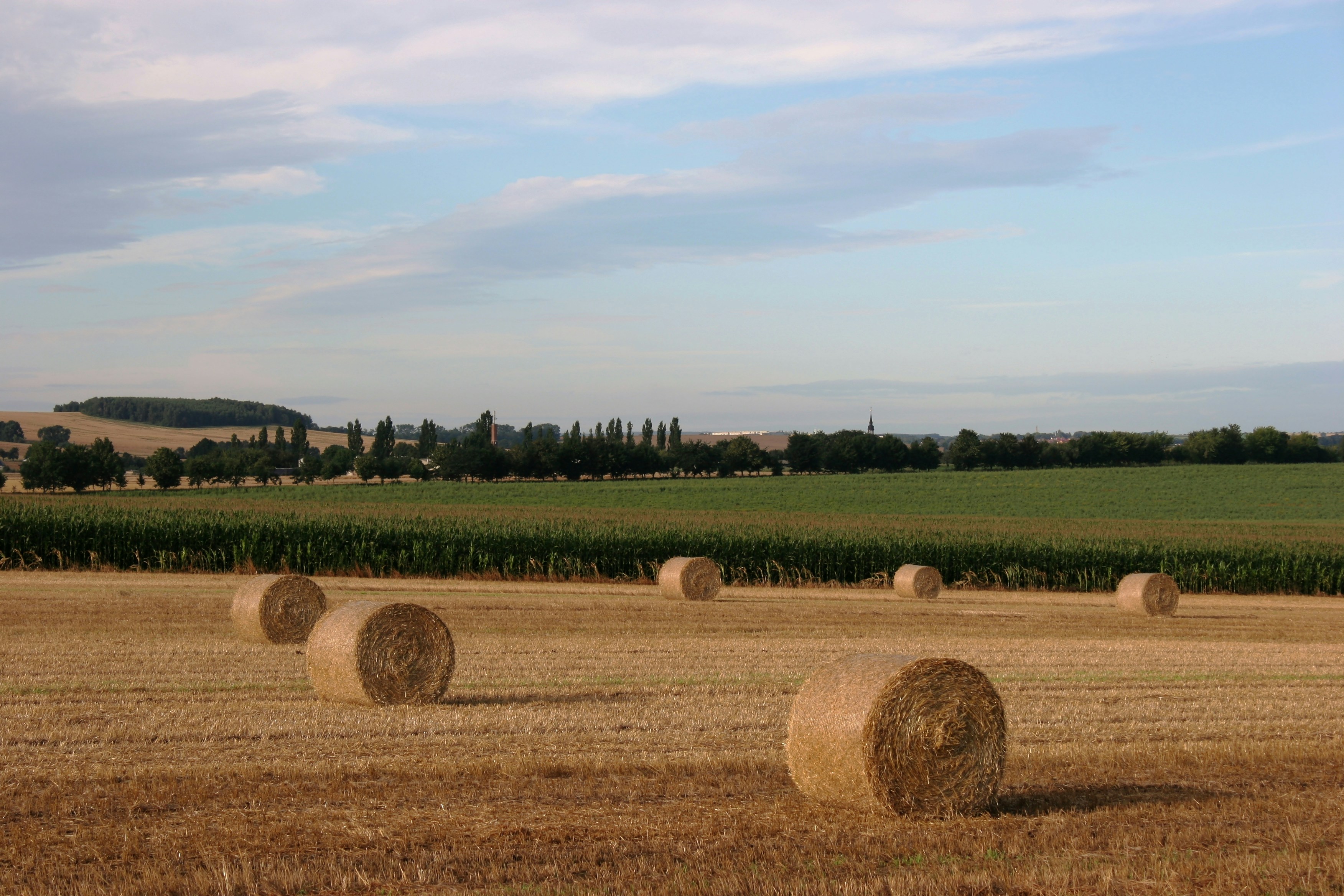 Harvest Echoes: Hay Bales Dot a Sunlit Field