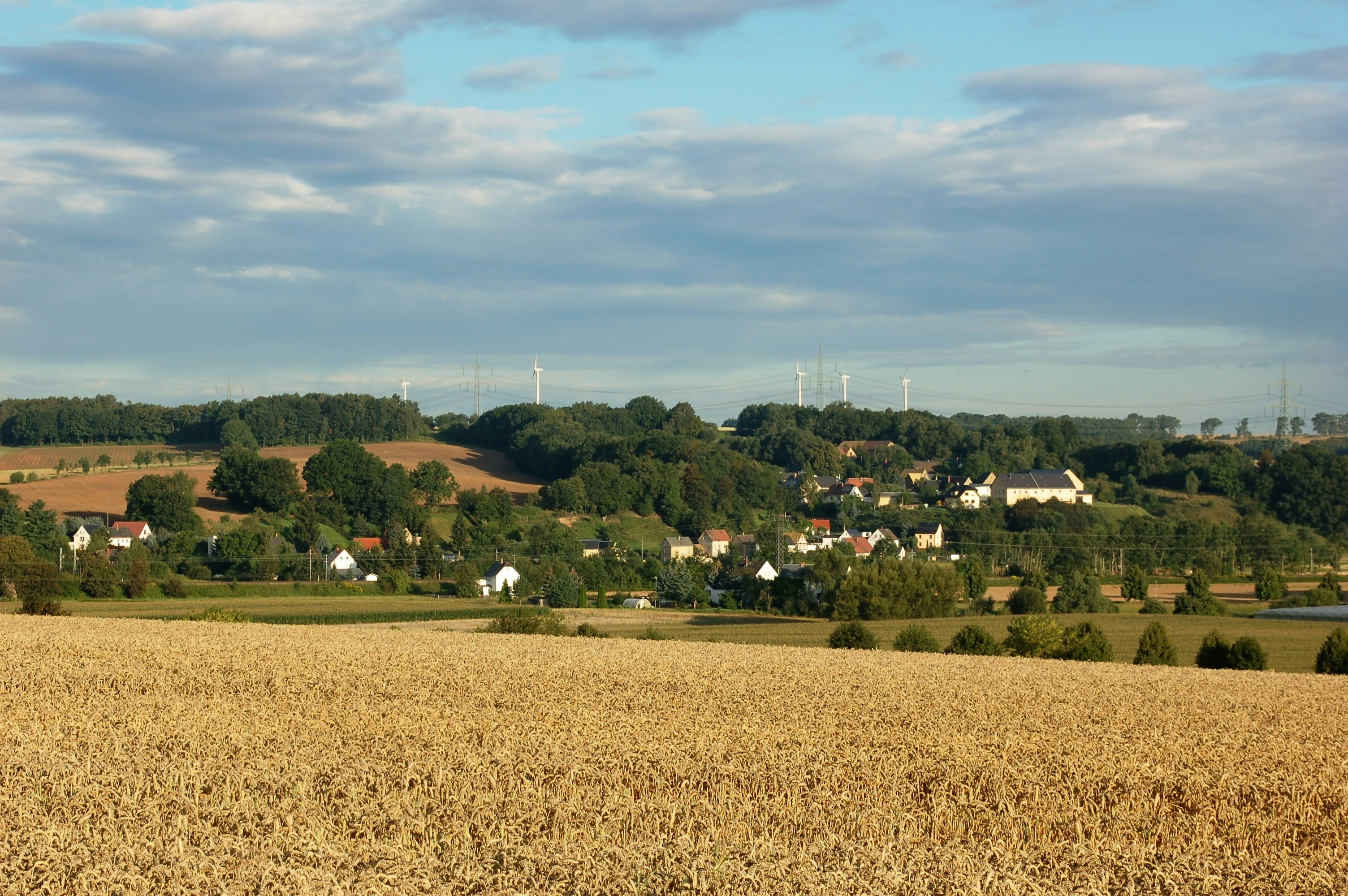 Photo by Lutz Stallknecht with Nikon D50