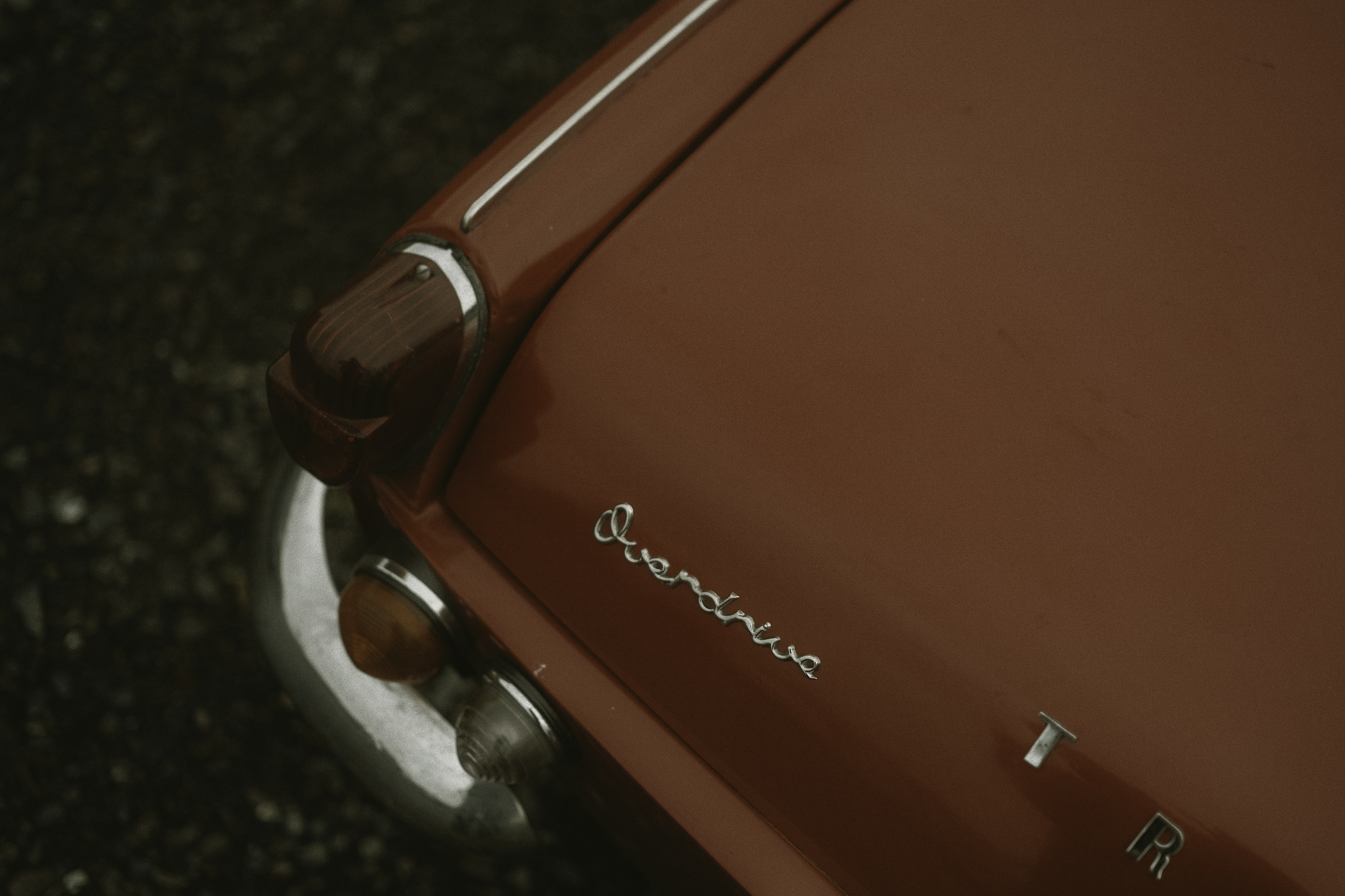 Photo by Vineeth Vijayendra Kurup with Fujifilm X-T4